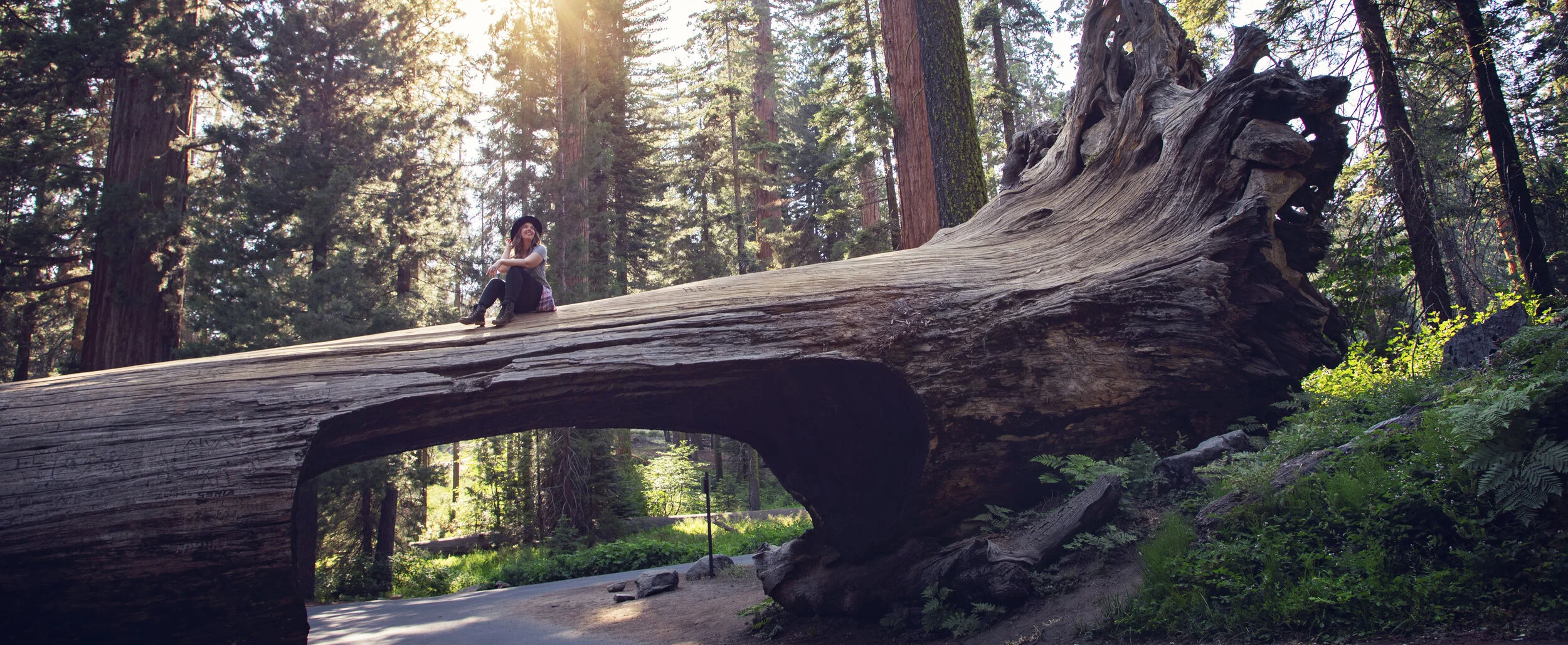 Sequoia & Kings Canyon National Parks (Top 10 Spots) — Flying Dawn Marie