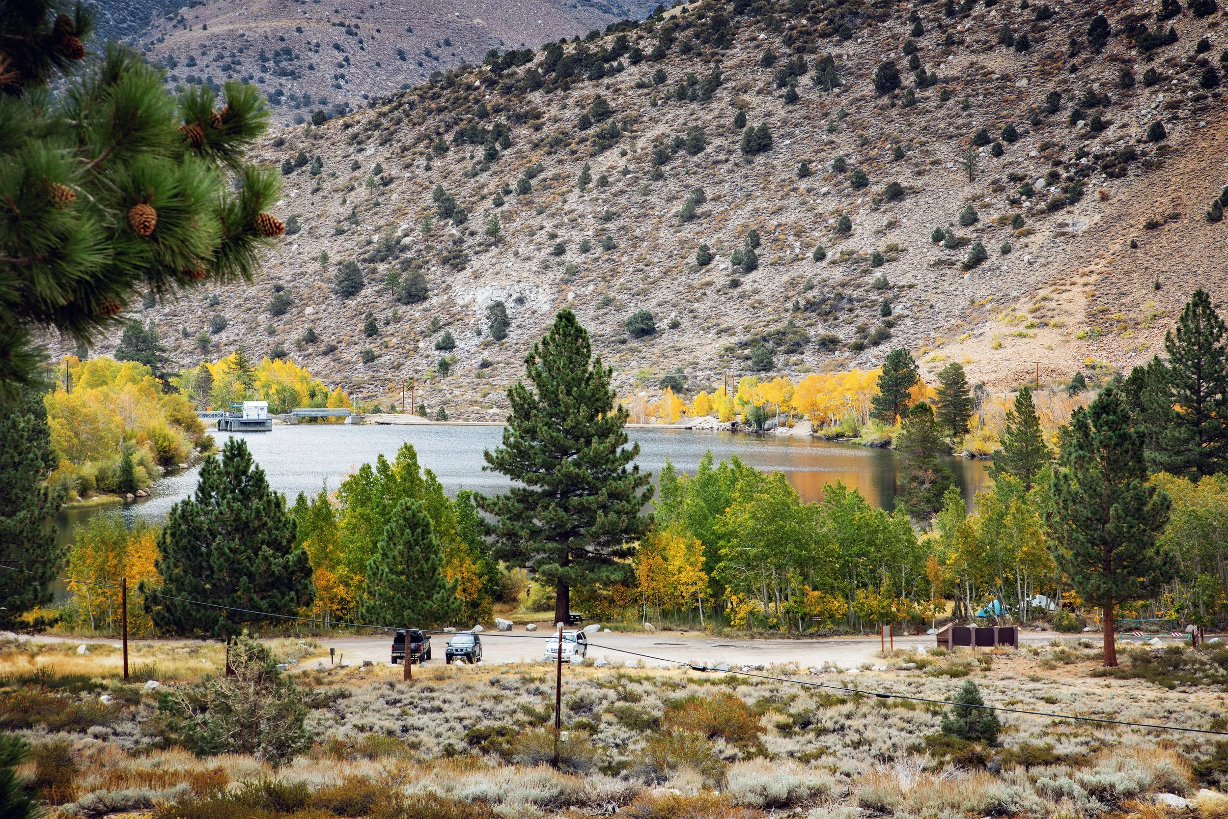 Eastern Sierra Fall Colors Report (10/9) **GO NOW/GO SOON** — Flying ...