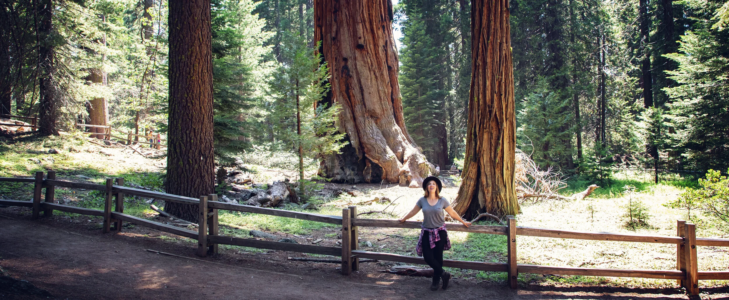 Grant Grove - Kings Canyon National Park — Flying Dawn Marie | Travel ...