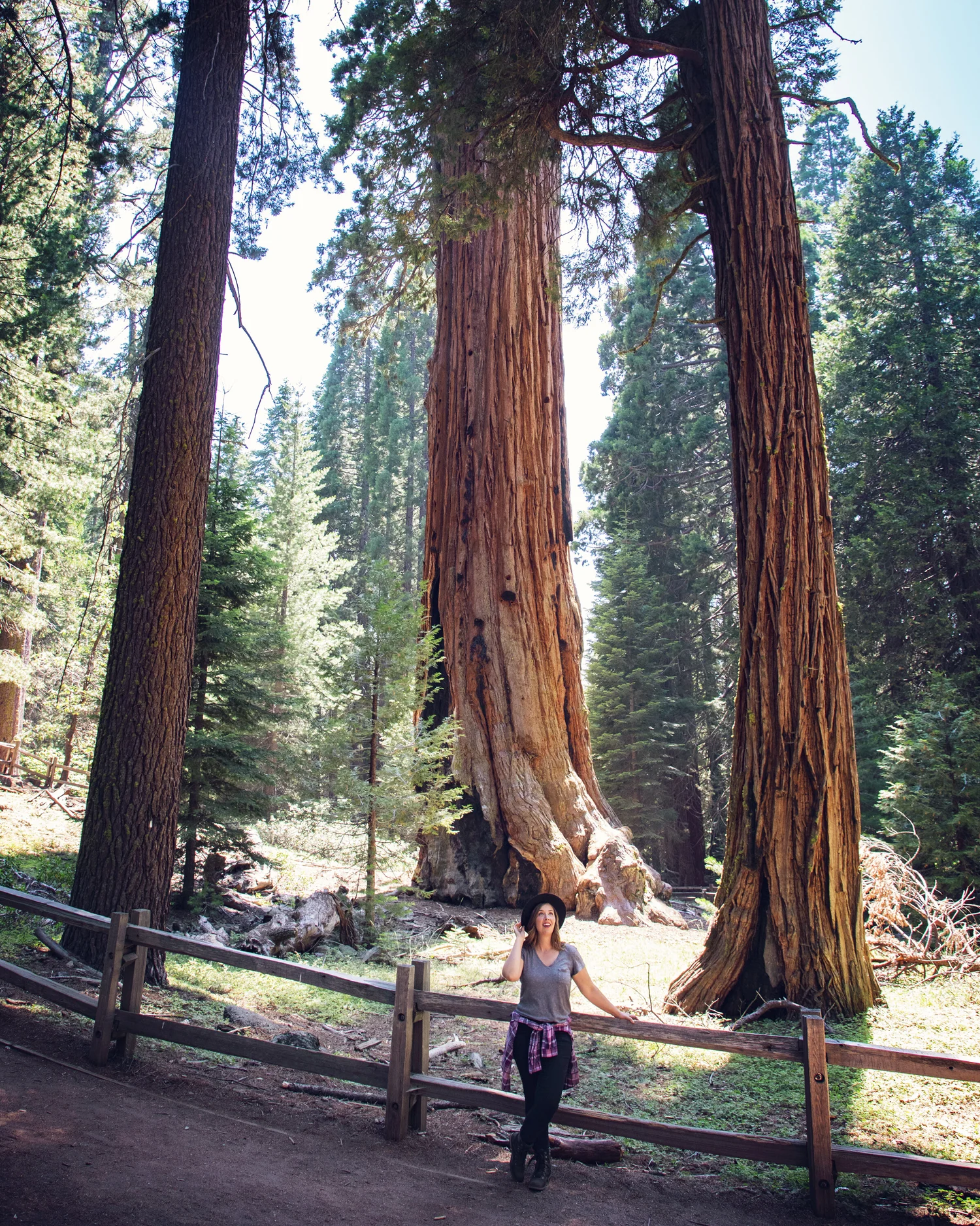Grant Grove - Kings Canyon National Park — Flying Dawn Marie | Travel ...