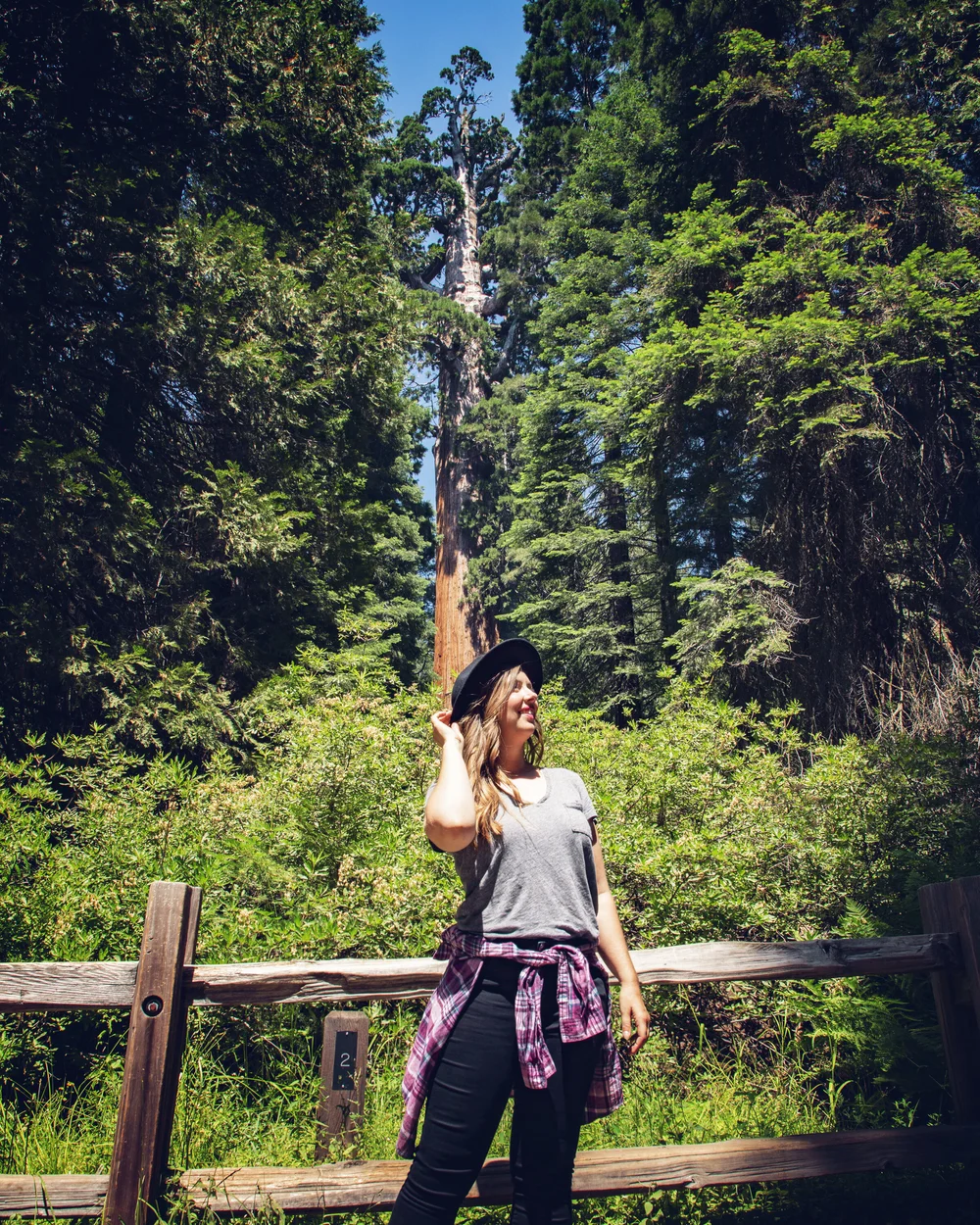 Grant Grove - Kings Canyon National Park — Flying Dawn Marie | Travel ...