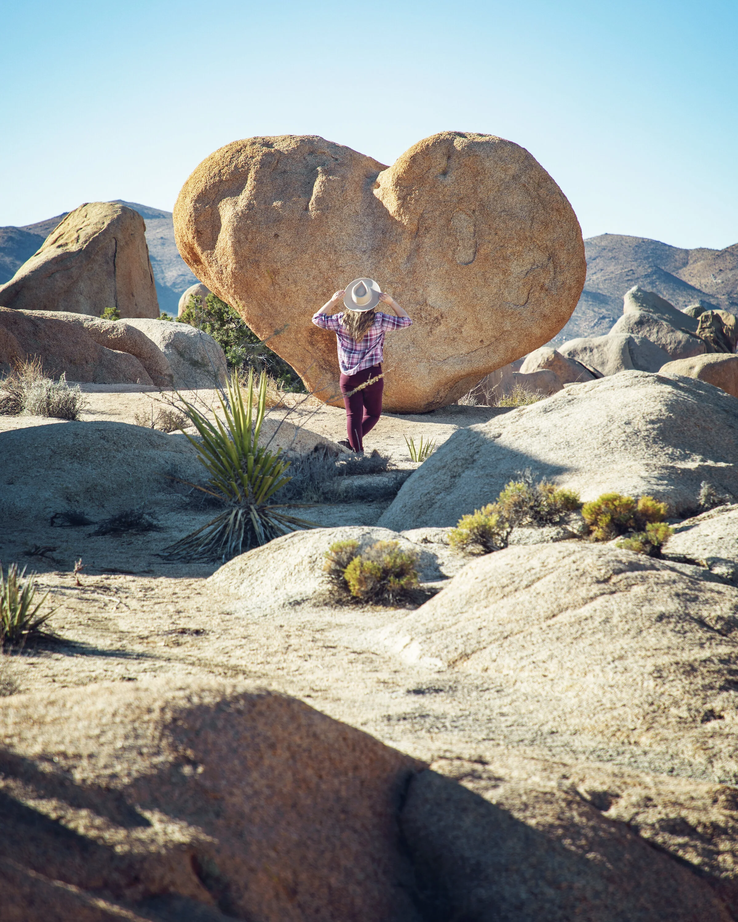 Arch Rock & Heart Rock (Joshua Tree National Park) — Flying Dawn Marie ...