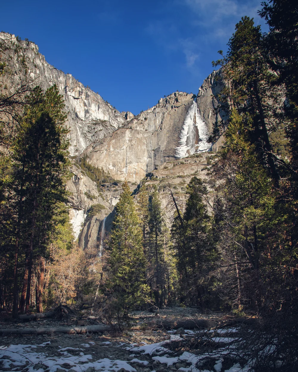 Lower Yosemite Falls Trail (Yosemite National Park) — Flying Dawn Marie ...