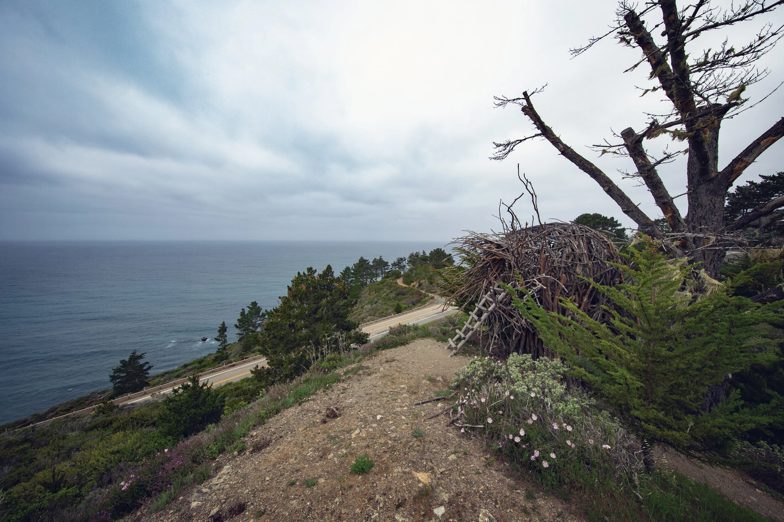 Treebones Resort (Autonomous Tent Review) - Big Sur, CA — Flying Dawn ...