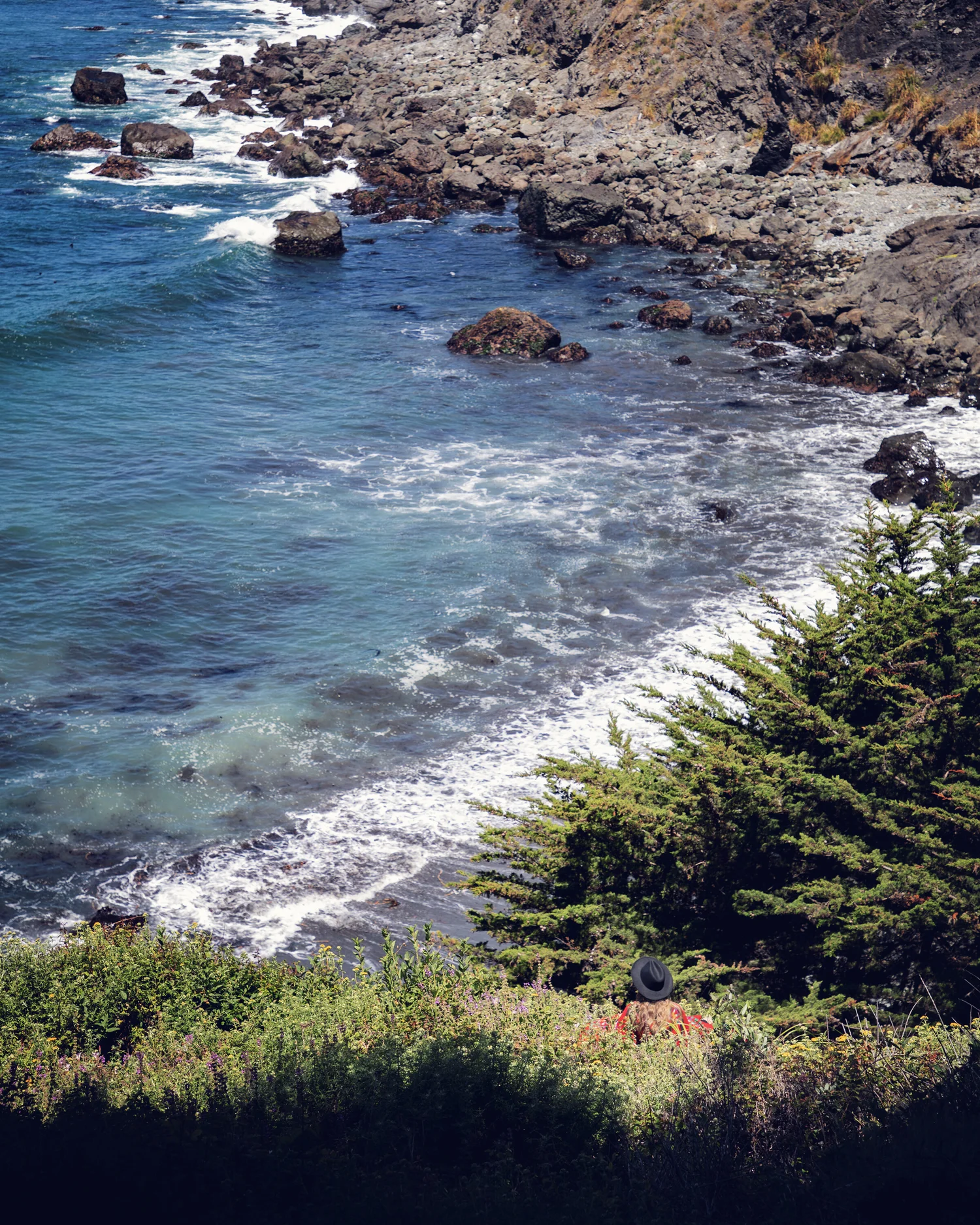 Ragged Point - Black Swift Falls Trail (Big Sur, CA) — Flying Dawn ...
