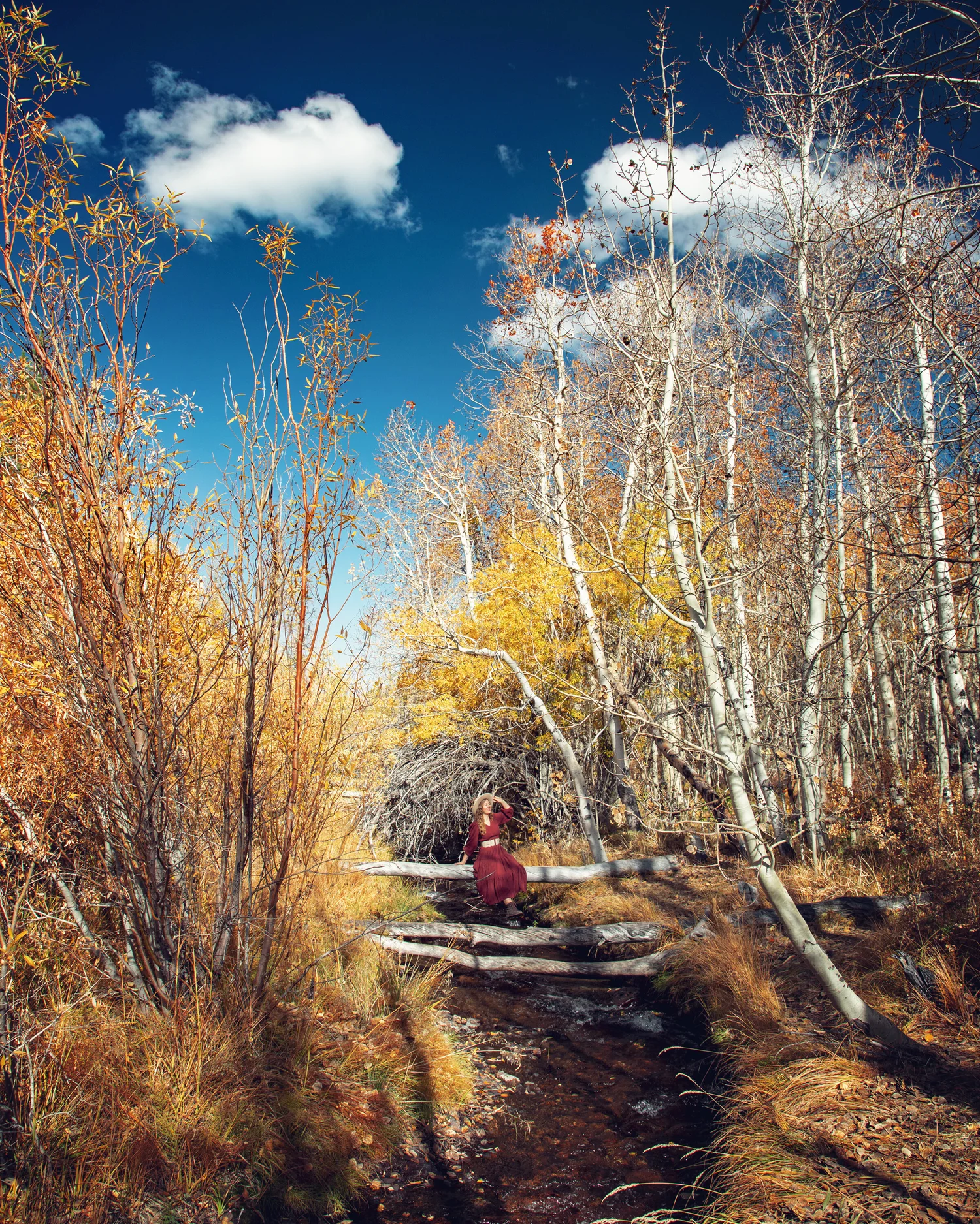 Intake Two Fall Colors (Eastern Sierra, CA) — Flying Dawn Marie ...