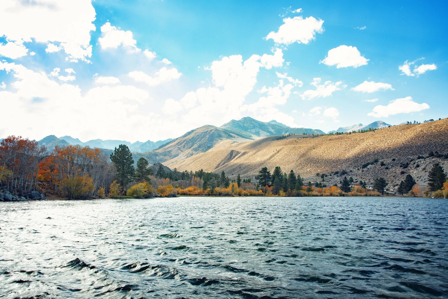 Top 10 Fall Colors Photo Spots (Bishop, CA) — Flying Dawn Marie ...