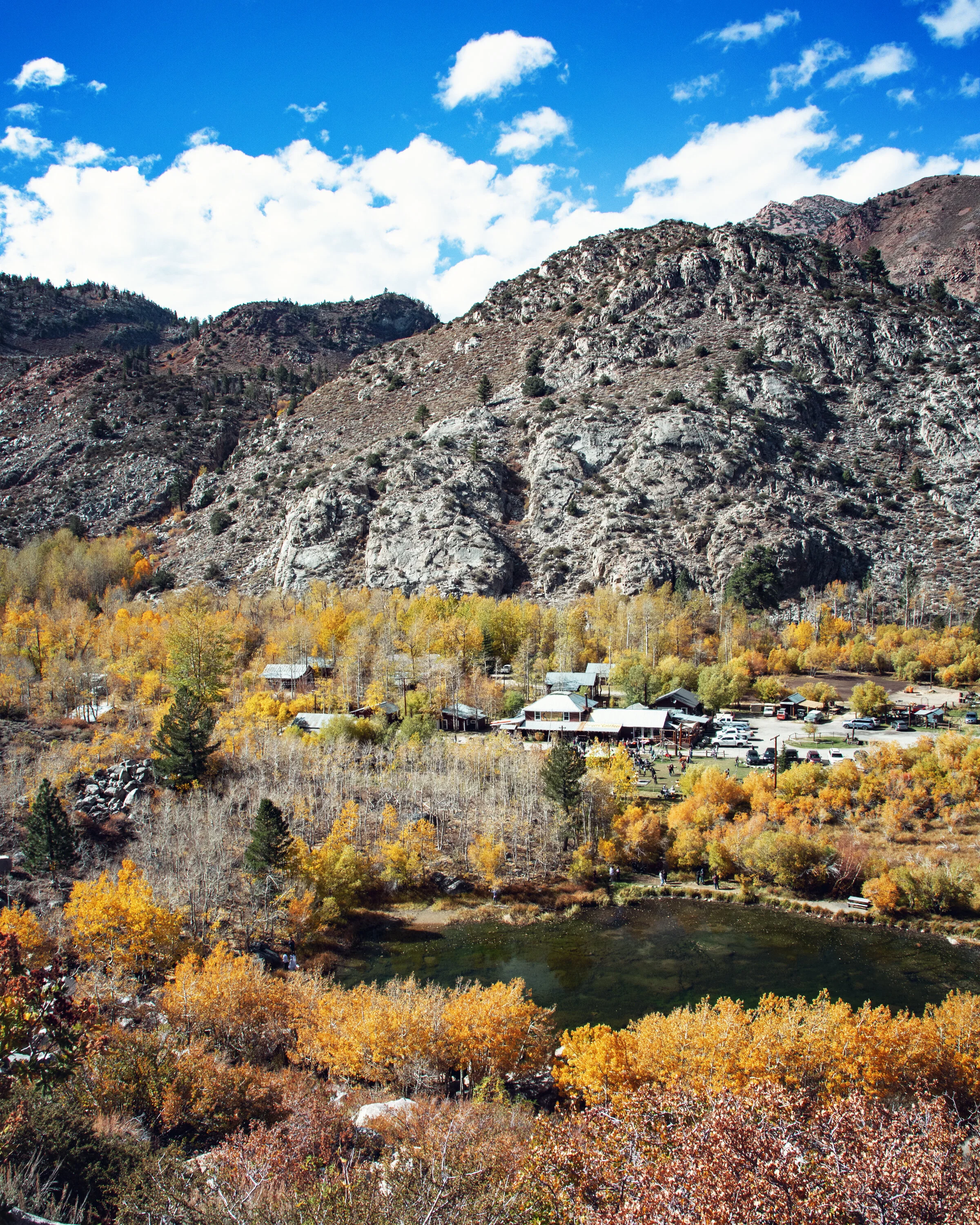 Top 10 Fall Colors Photo Spots (Bishop, CA) — Flying Dawn Marie ...