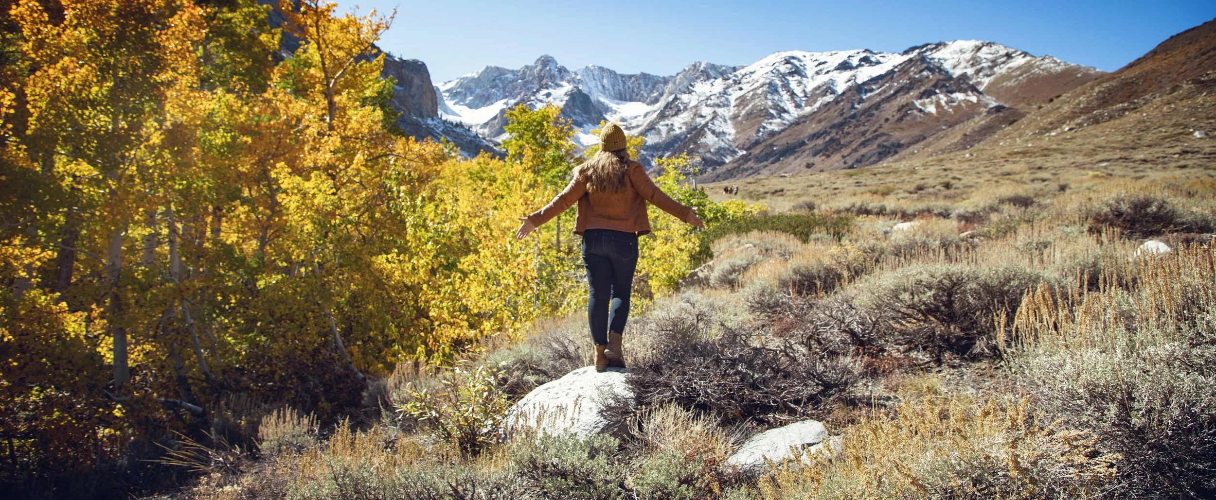 Eastern Sierra Fall Colors - TOP 20 SPOTS — Flying Dawn Marie | Travel ...