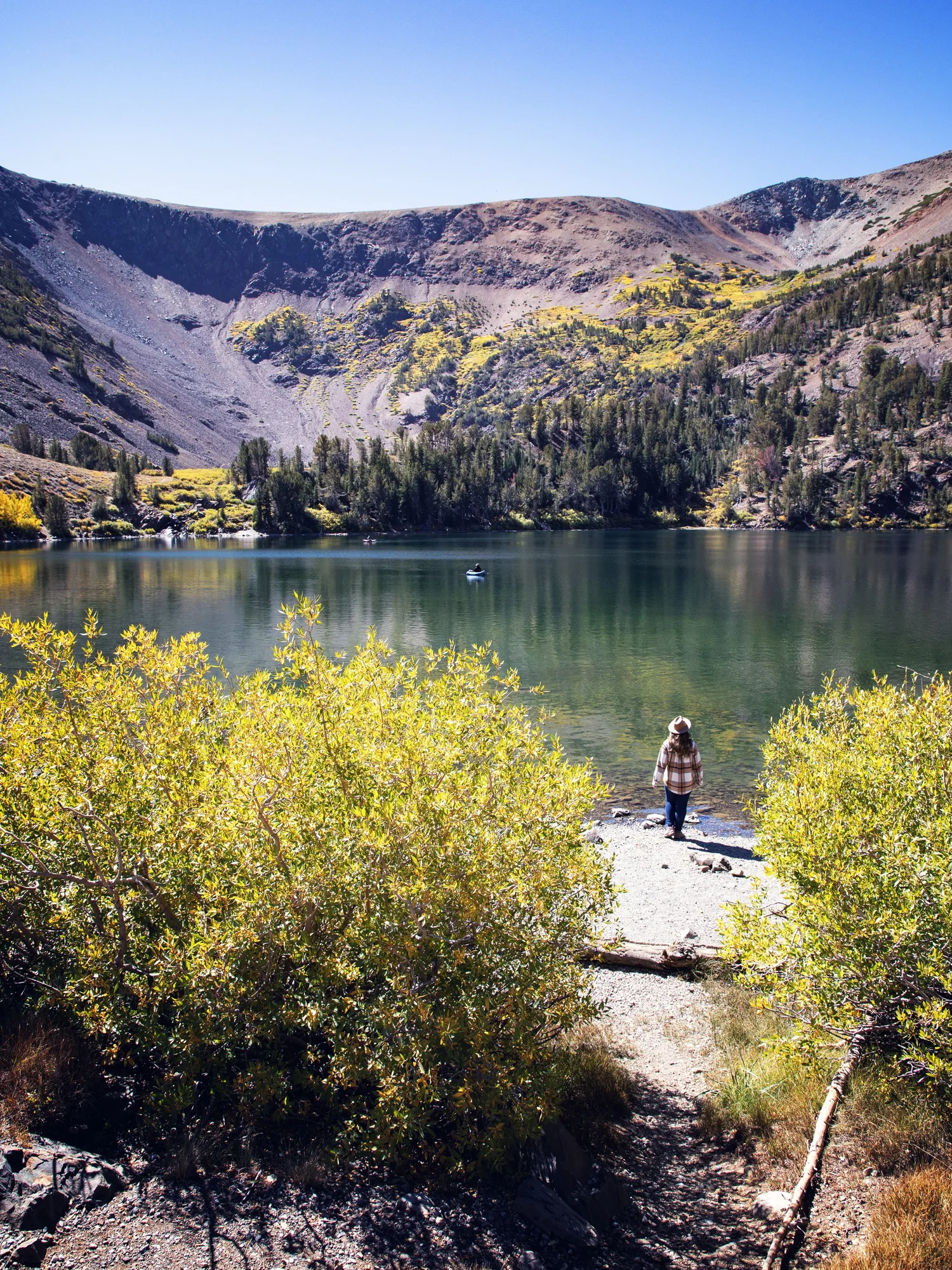 Eastern Sierra Fall Color Report (GO NOW/GO SOON) - Top Spots in Mono ...