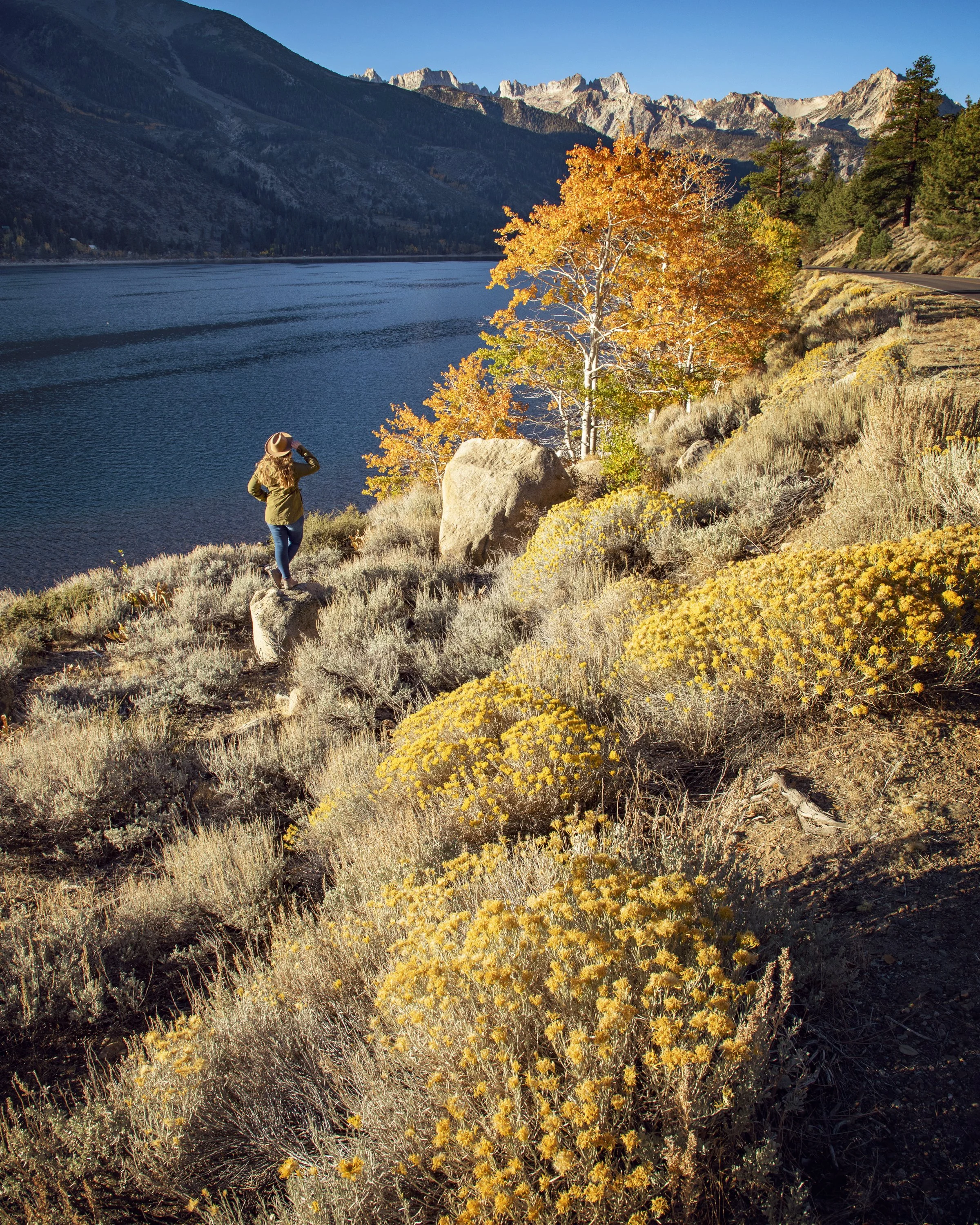 Twin Lakes - Eastern Sierra Fall Colors — Flying Dawn Marie | Travel ...