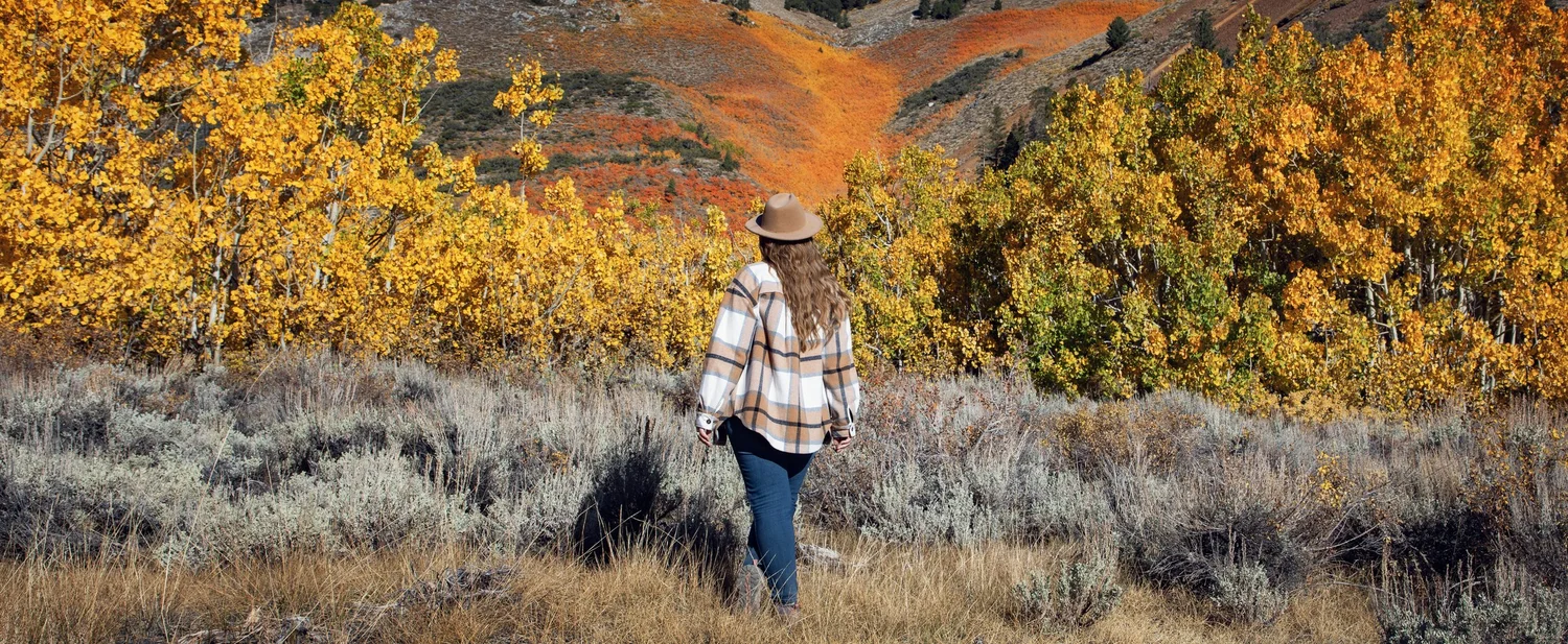 Eastern Sierra Fall Colors Report (10/3/24) **GO NOW!** — Flying Dawn ...
