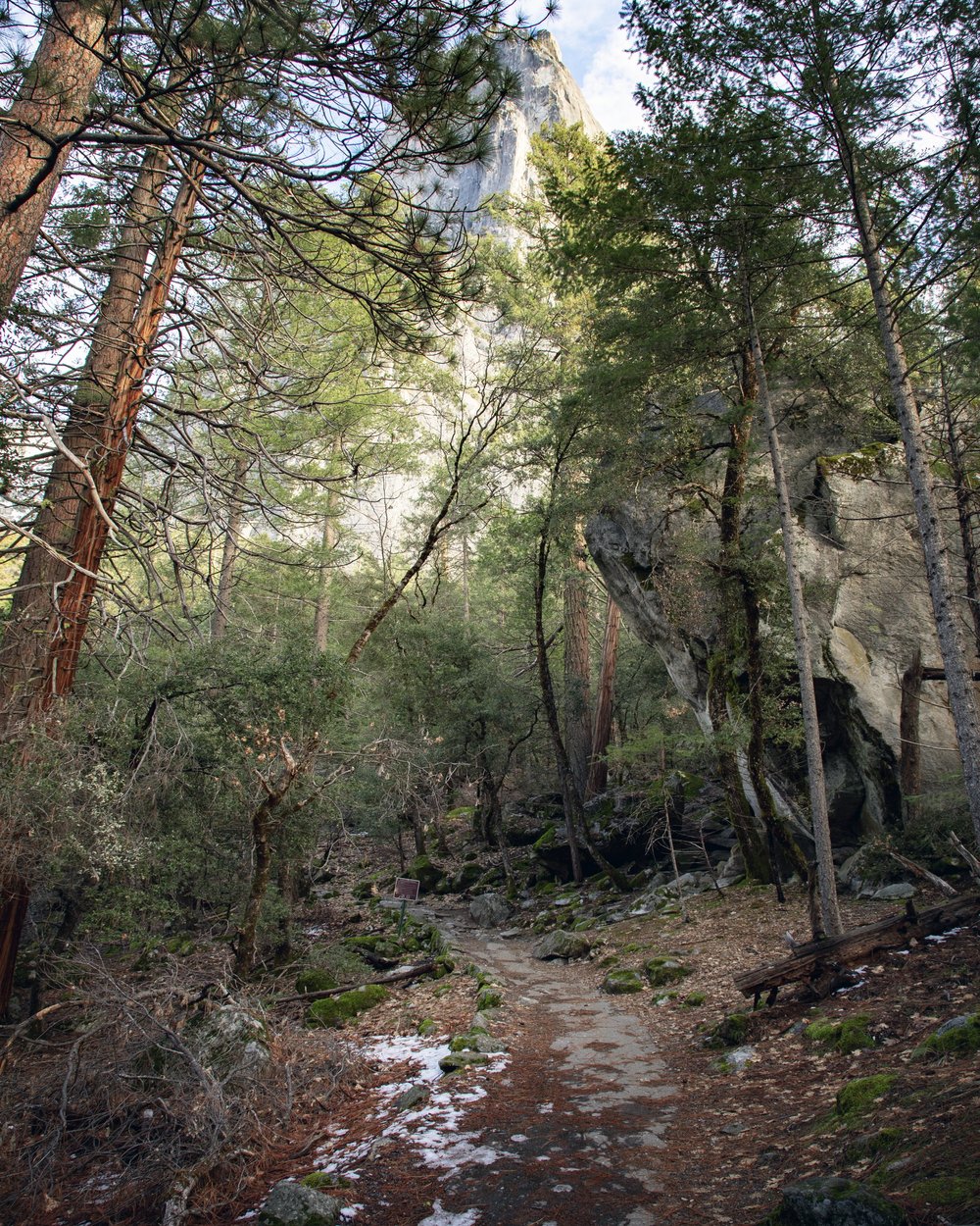 Yosemite Day Trip for FIREFALL (Four Mile Trail Viewing Spot) — Flying ...