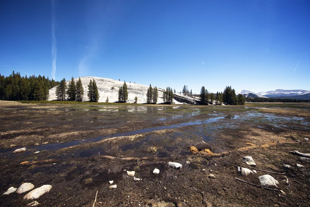 Tioga Pass is Open! (2025 Current Conditions) Yosemite National Park ...