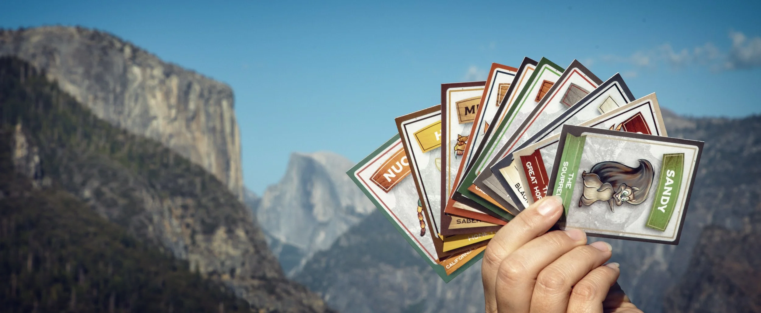 Fossils to Falls Road Trip & Contest - WIN a YOSEMITE Vacation — Flying ...