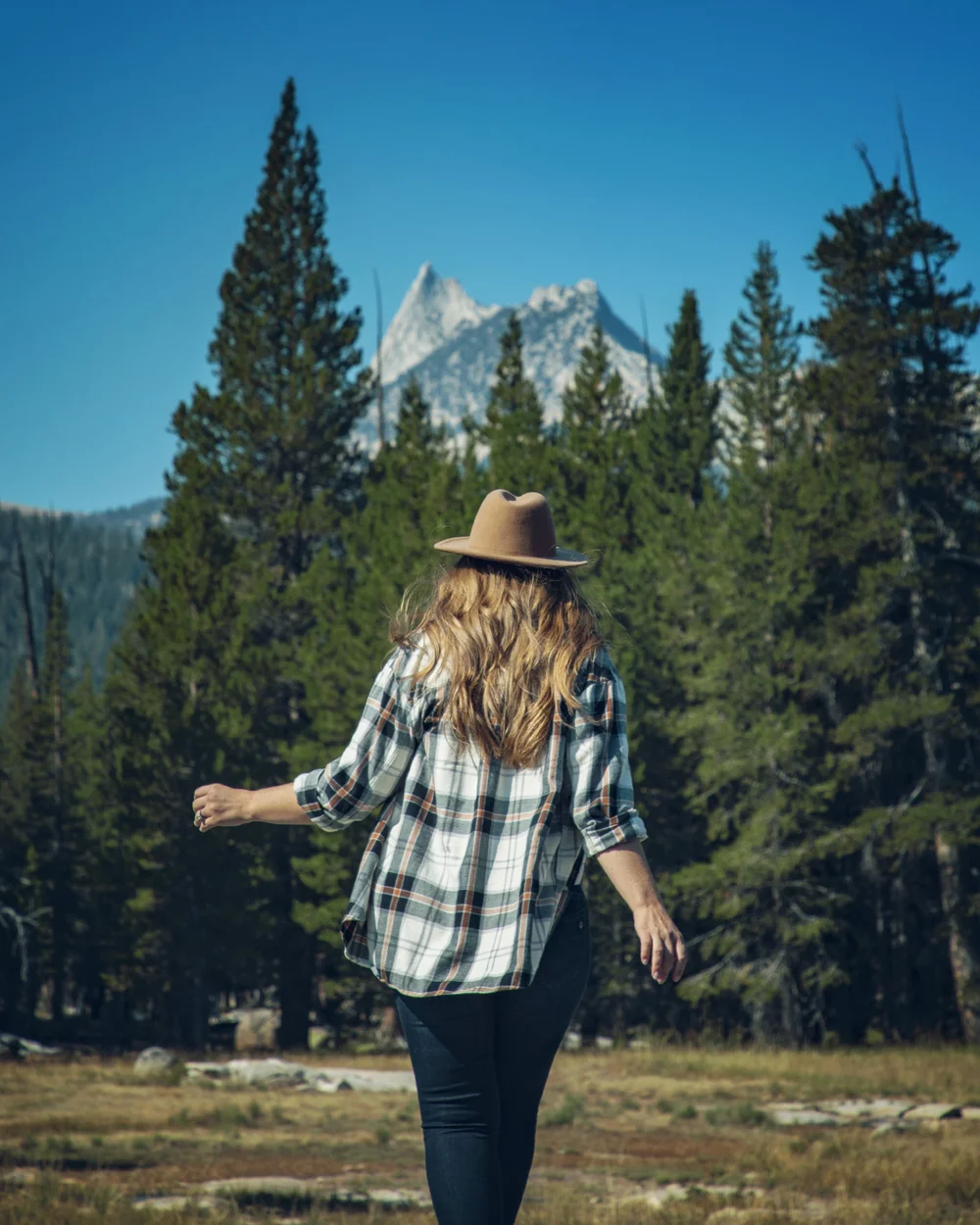 Soda Springs and Parsons Memorial Lodge - Yosemite National Park ...