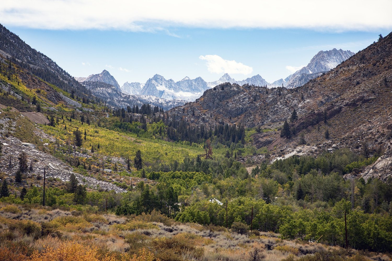 Eastern Sierra Fall Colors CURRENT CONDITIONS (North Lake & Bishop ...