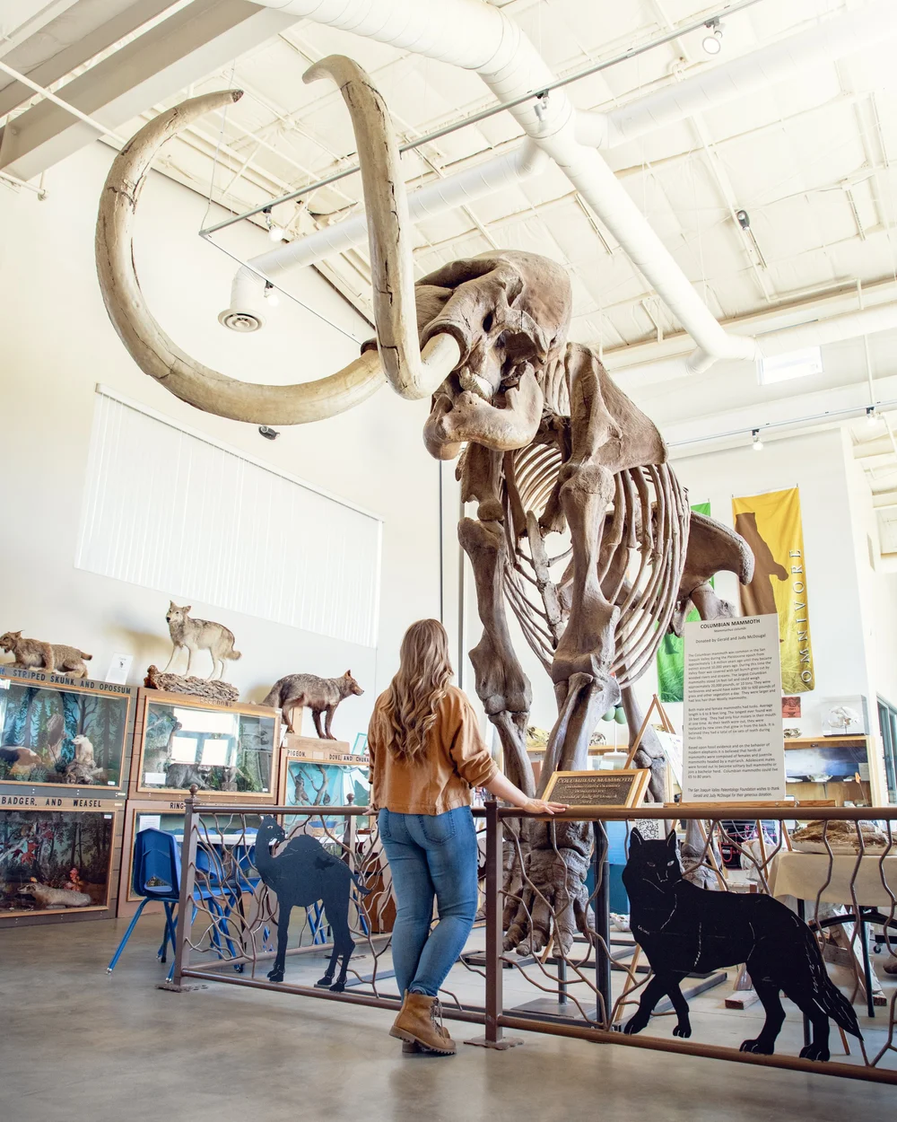 Fossils to Falls Road Trip & Contest - WIN a YOSEMITE Vacation — Flying ...
