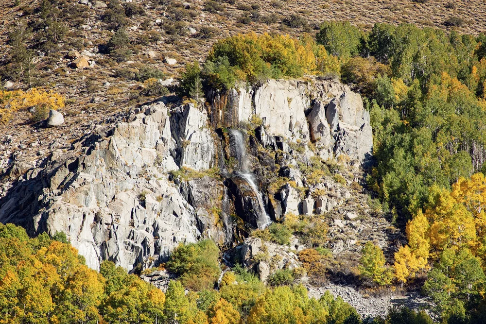 Eastern Sierra Fall Colors Report (10/3/24) **GO NOW!** — Flying Dawn ...