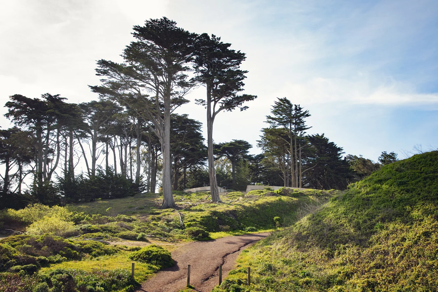 Exploring the Golden Gate Bridge Overlook (San Francisco, CA) — Flying ...
