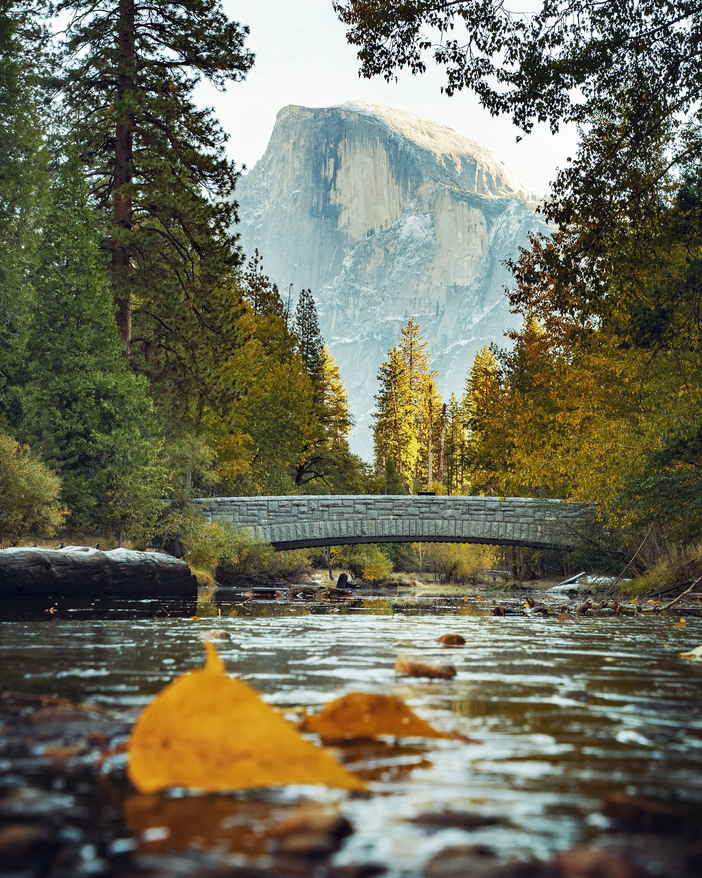 Top 15 Spots for YOSEMITE VALLEY Fall Colors (Travel Guide) — Flying ...