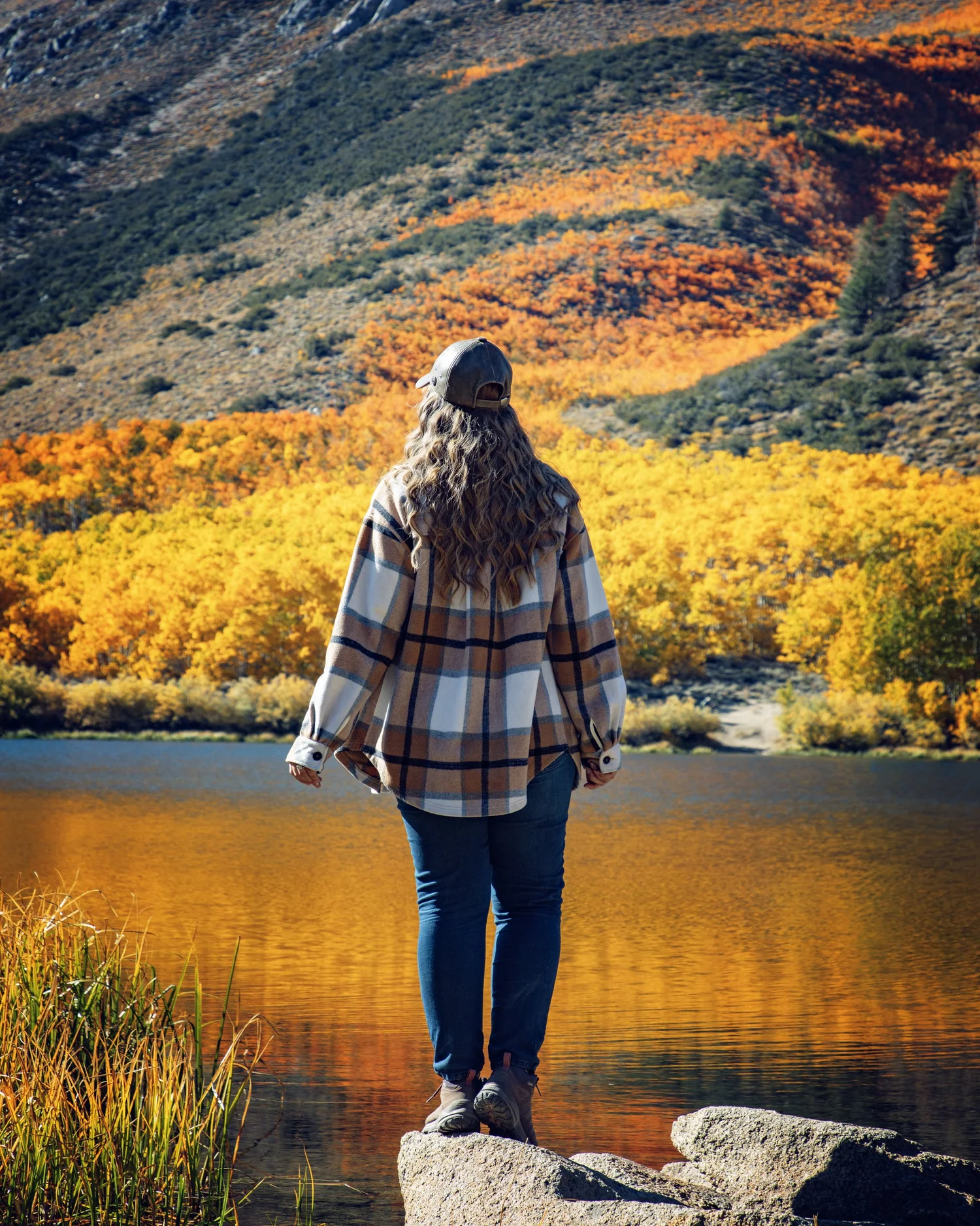 Eastern Sierra Fall Colors Report (10/3/24) **GO NOW!** — Flying Dawn ...