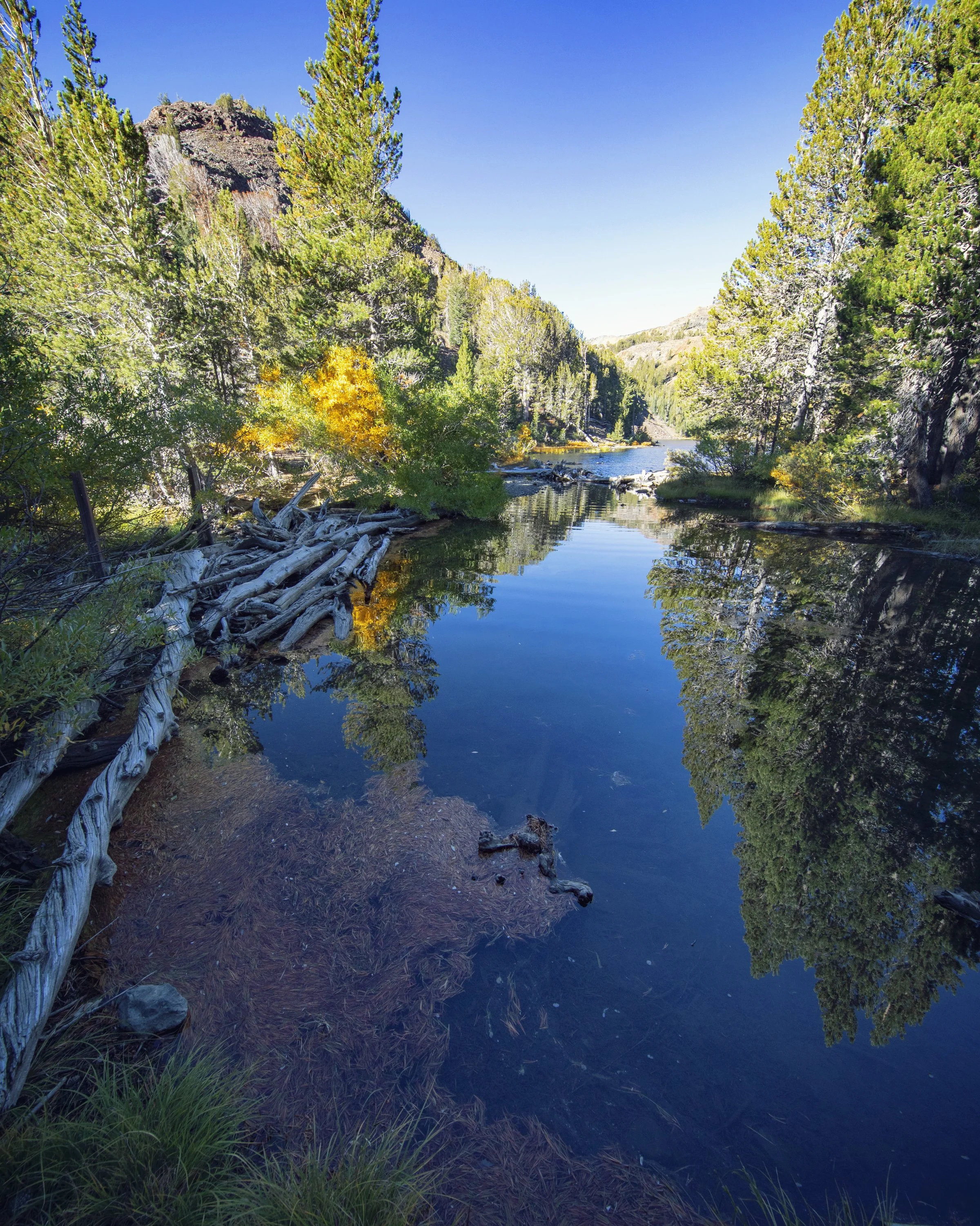 Virginia Lakes - Eastern Sierra Fall Colors — Flying Dawn Marie ...