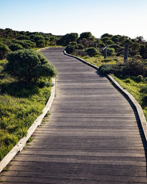Fiscalini Ranch Preserve - Best Hikes & Coastal Views in Cambria, CA ...