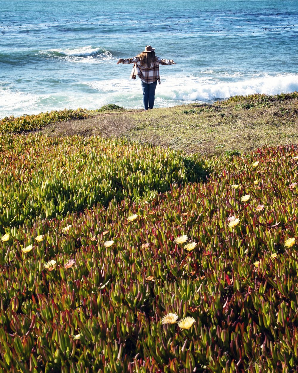 Fiscalini Ranch Preserve - Best Hikes & Coastal Views in Cambria, CA ...