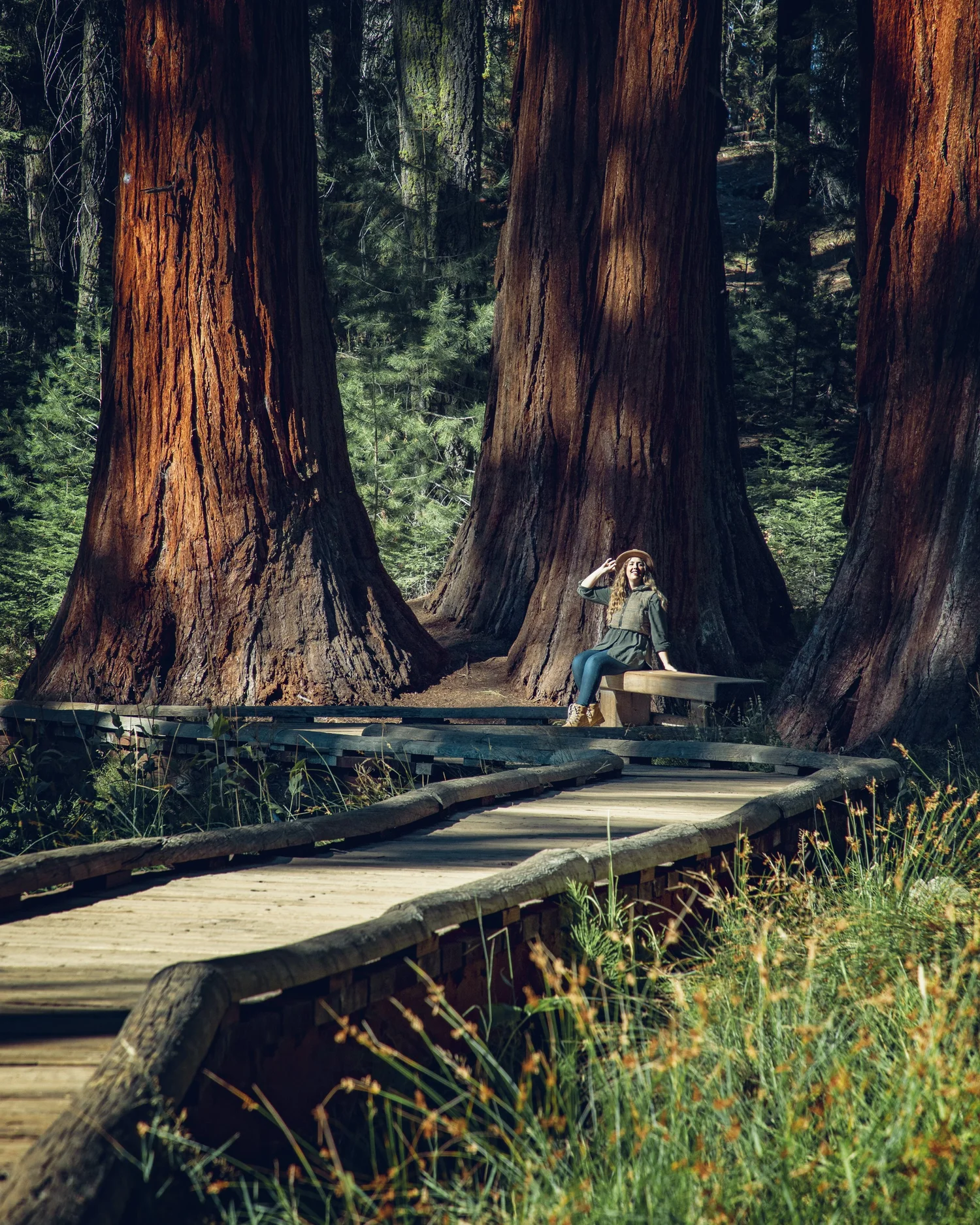 Big Trees Trail in Sequoia National Park — Flying Dawn Marie | Travel ...