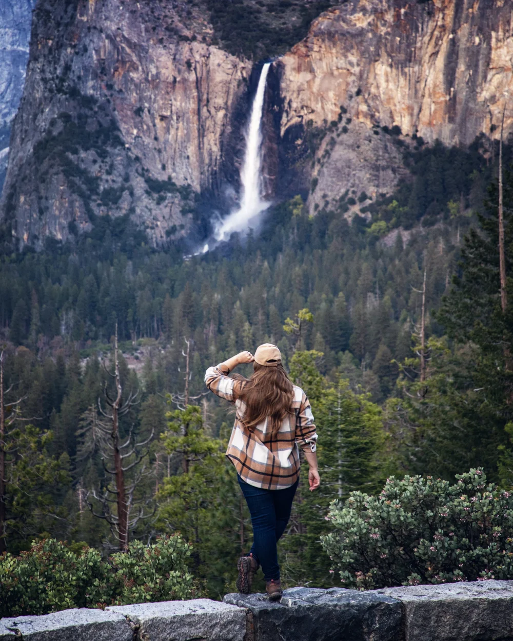 Yosemite 2025 Spring Update (Waterfalls & Wildflowers CURRENT ...