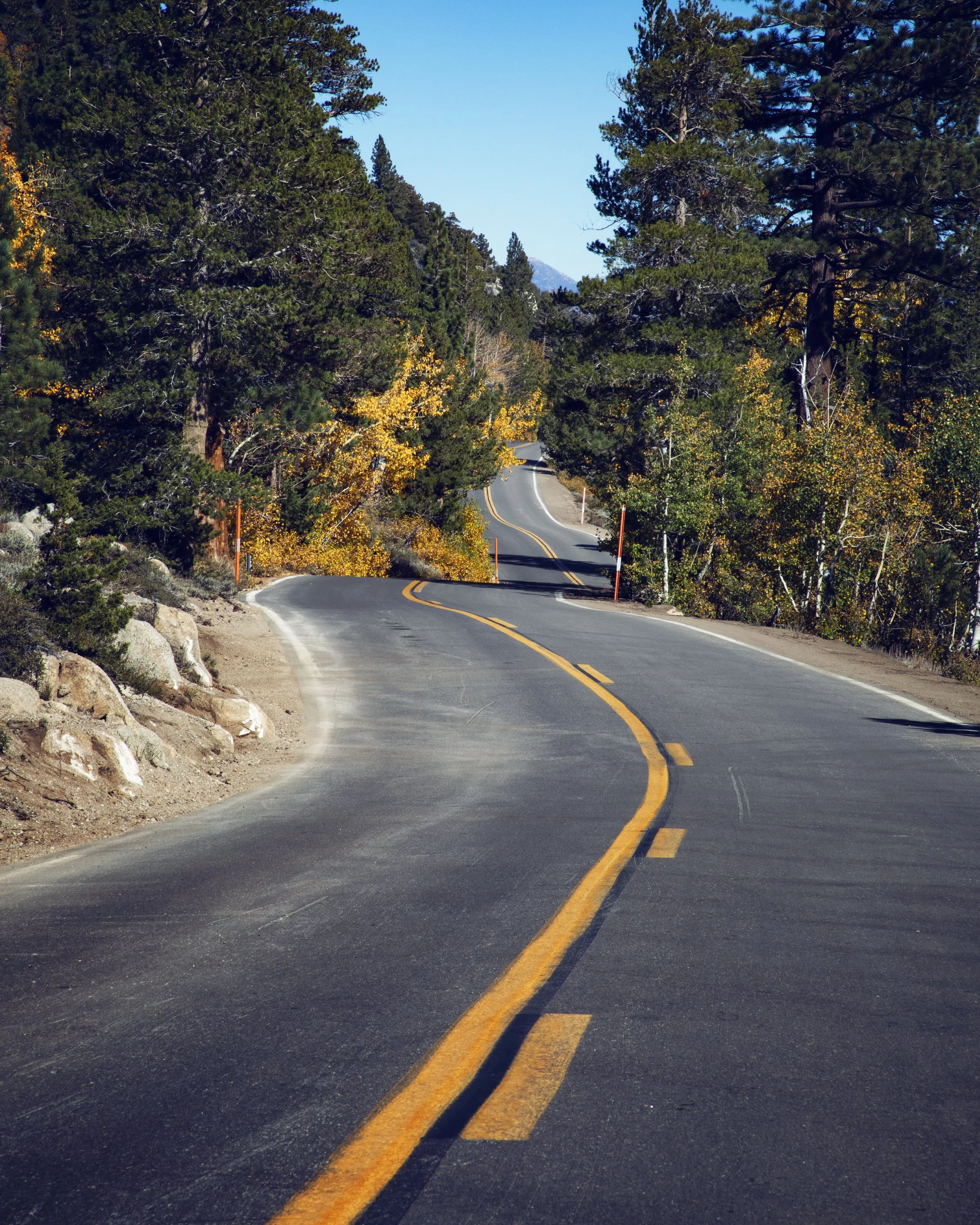 Sonora Pass Fall Colors & Top Spots (High Sierra) — Flying Dawn Marie ...