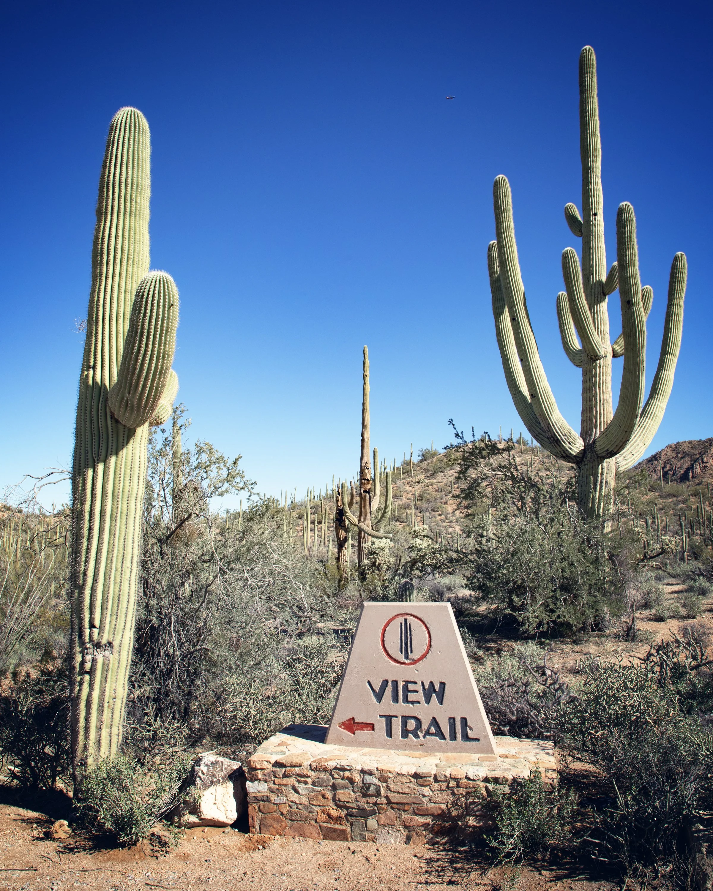 Valley View Overlook Trail (Saguaro National Park West) — Flying Dawn ...