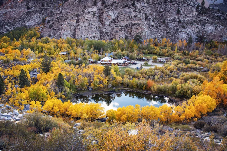 Eastern Sierra Fall Color Report (GO NOW!) - Bishop & Mono County ...