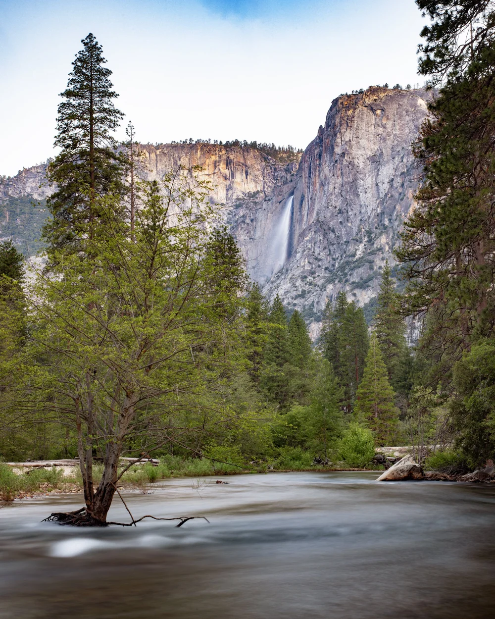 Yosemite Camping Visitor's Guide (North Pines Campground) — Flying Dawn ...
