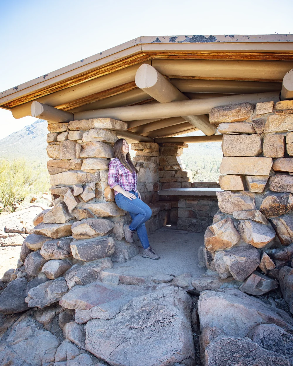 Bajada Loop Drive Stops (Saguaro National Park West) — Flying Dawn ...