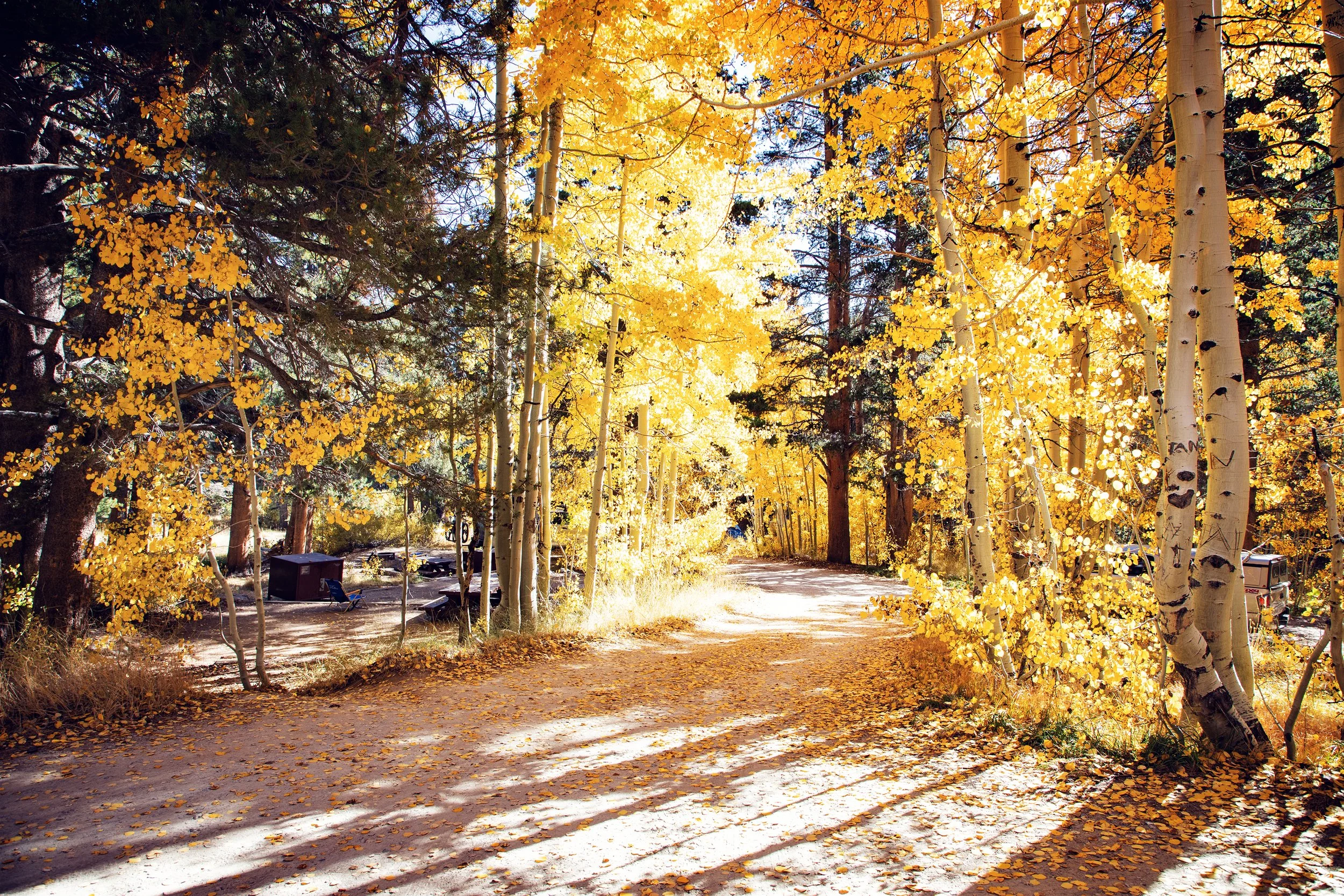 North Lake Fall Camping Adventure in the High Sierra — Flying Dawn ...
