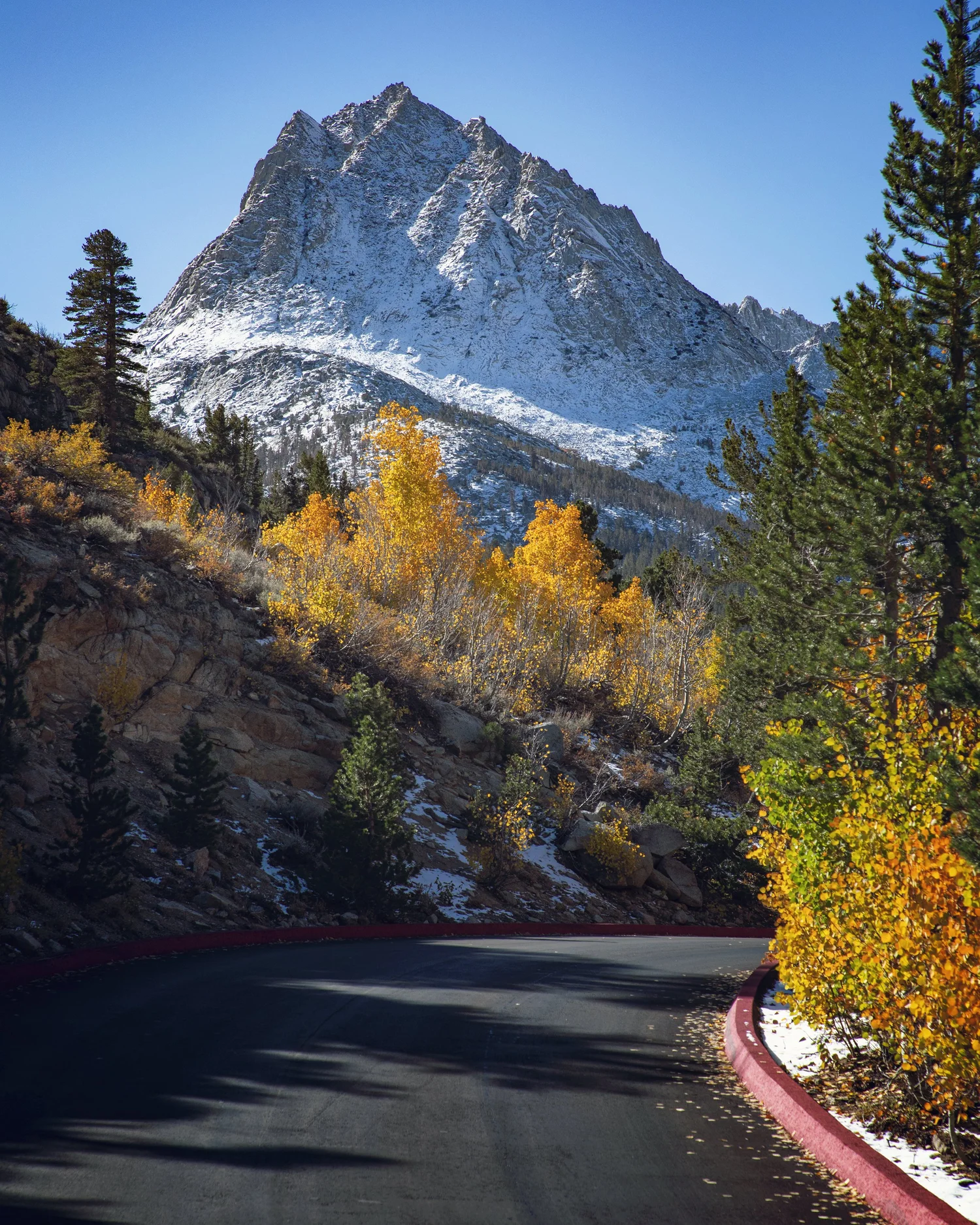 Eastern Sierra Fall Colors - TOP 20 SPOTS — Flying Dawn Marie | Travel ...