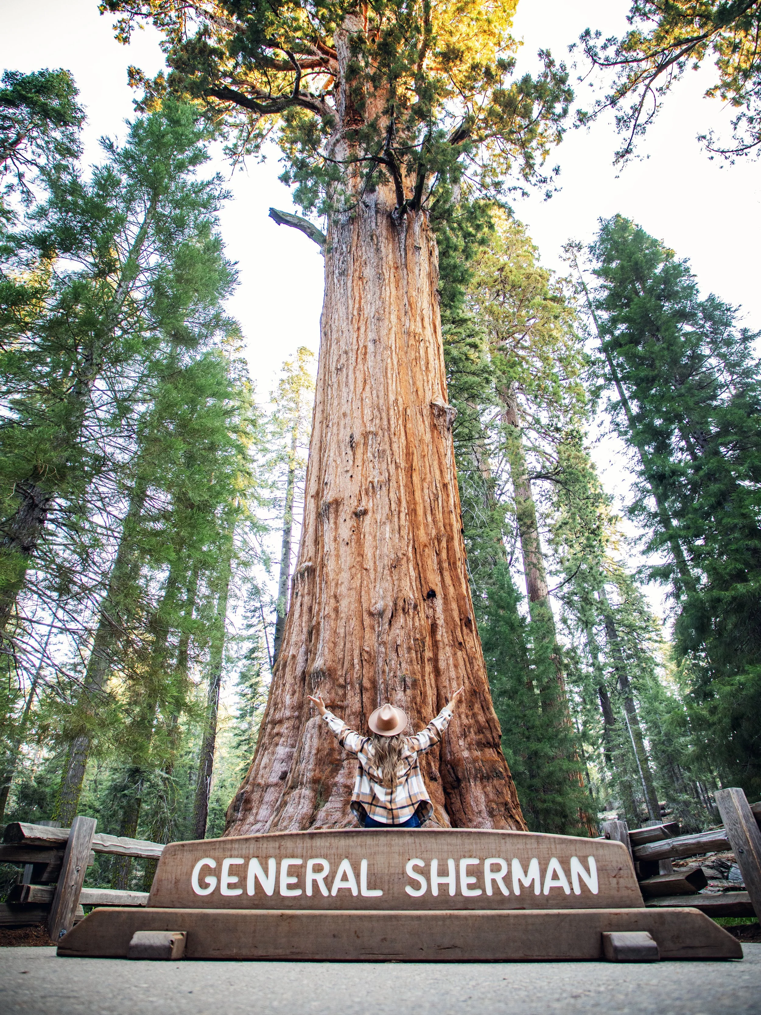 New 2026 U.S. National Park Fees Explained: What Visitors Need to Know ...