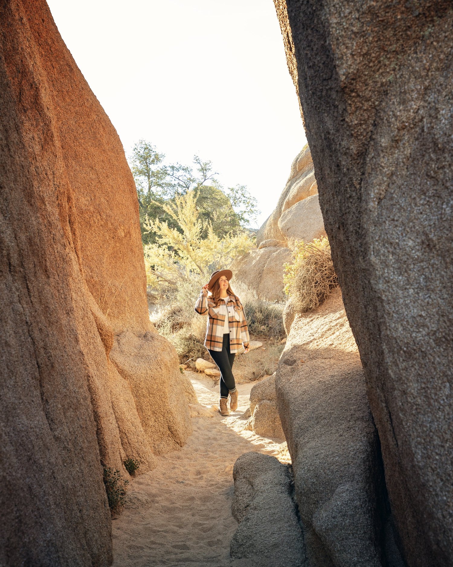 Discovery Trail (Joshua Tree) Kid-Friendly Hike — Flying Dawn Marie ...