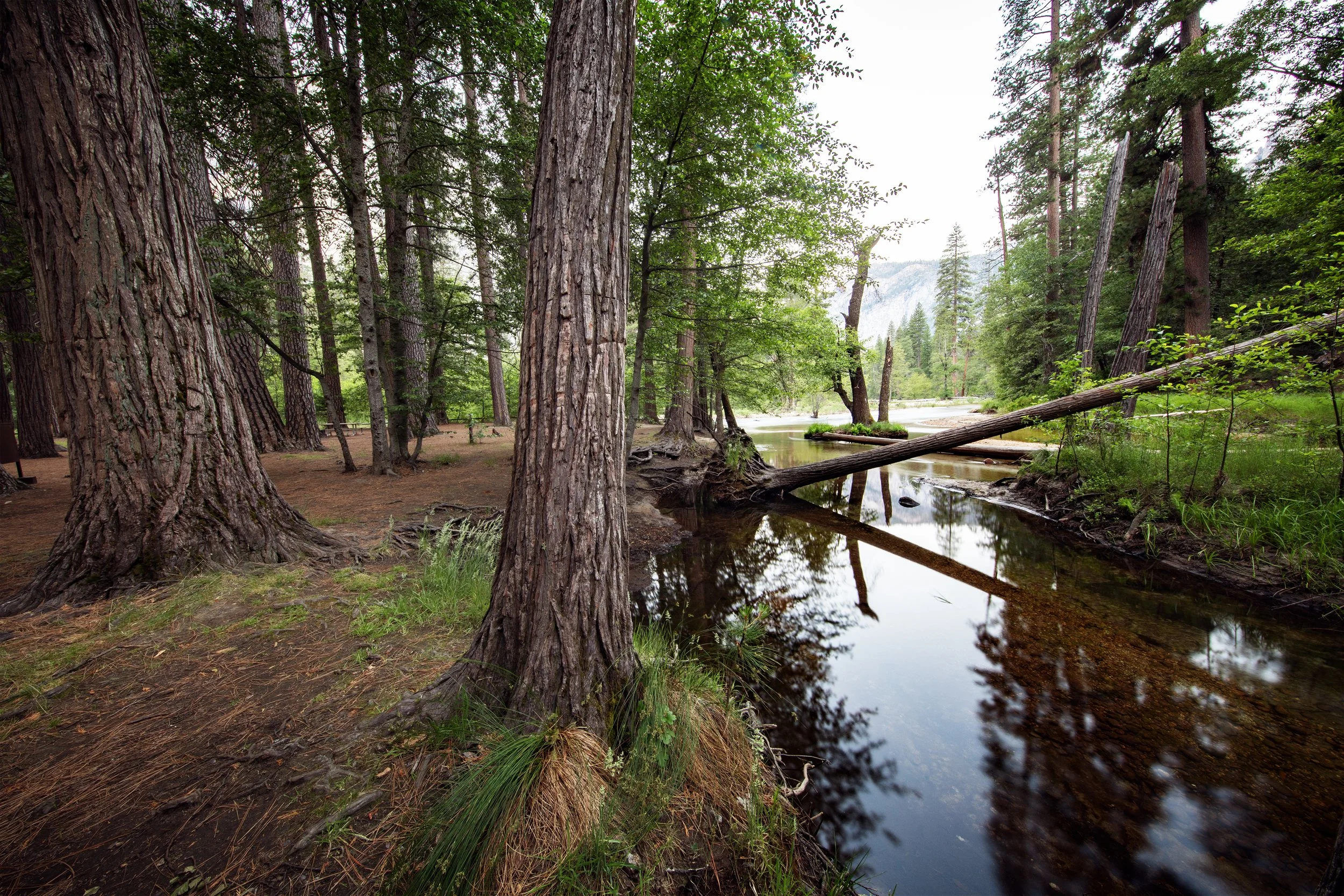 Yosemite Camping Visitor's Guide (North Pines Campground) — Flying Dawn ...