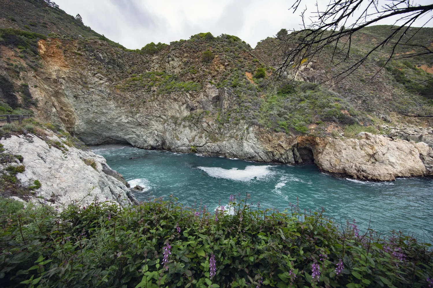 Partington Cove Trail in Big Sur — Flying Dawn Marie | Travel blog ...