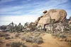 Perfect 1 Day Itinerary for Joshua Tree National Park — Flying Dawn ...