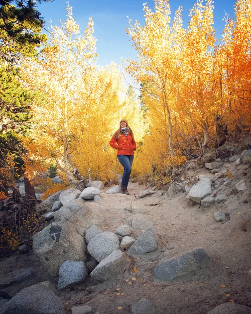 Eastern Sierra Fall Colors Complete Guide - Top 25 Spots — Flying Dawn ...