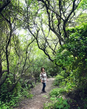Partington Cove Trail in Big Sur — Flying Dawn Marie | Travel blog ...