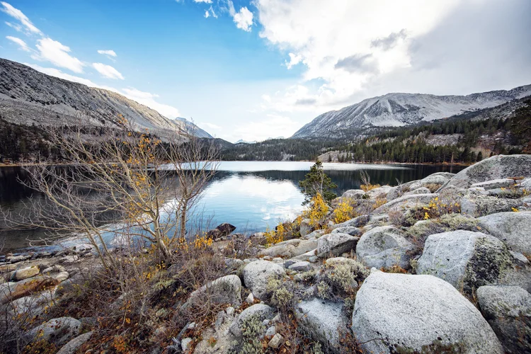 Eastern Sierra Fall Colors Report (10/9) **GO NOW/GO SOON** — Flying ...