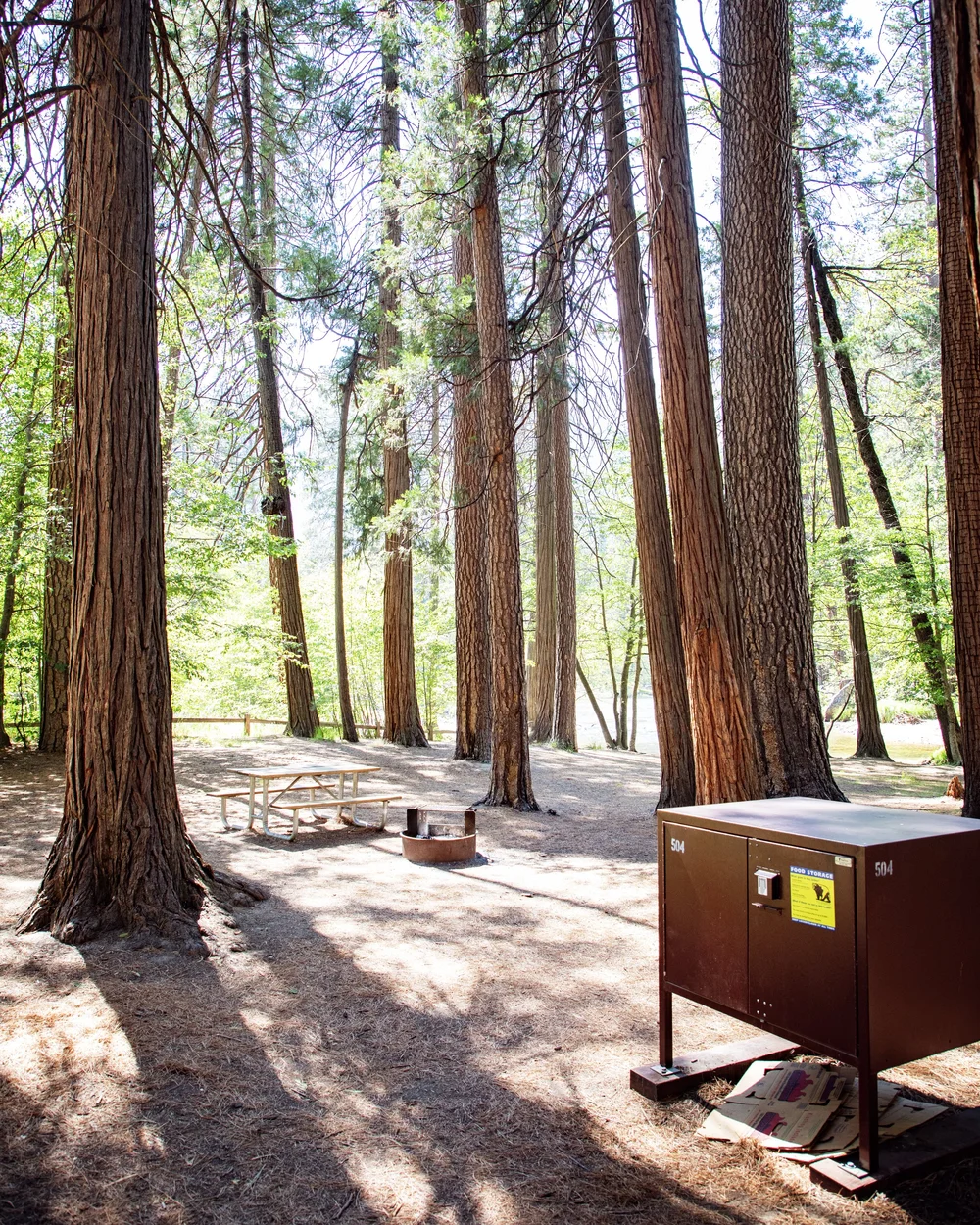 Yosemite Camping Visitor's Guide (North Pines Campground) — Flying Dawn ...
