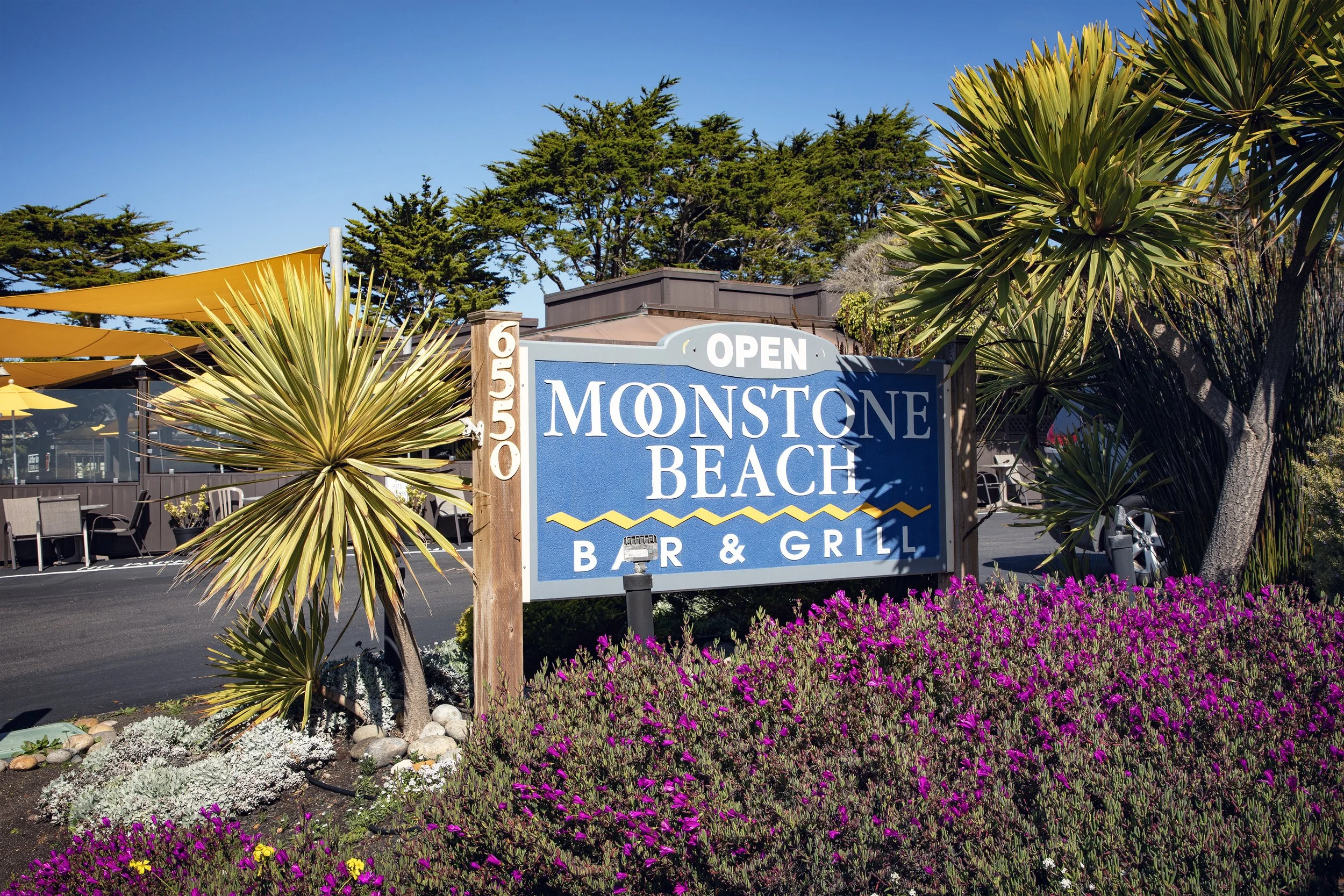 Moonstone Beach First Timers Guide (Cambria, CA) — Flying Dawn Marie ...