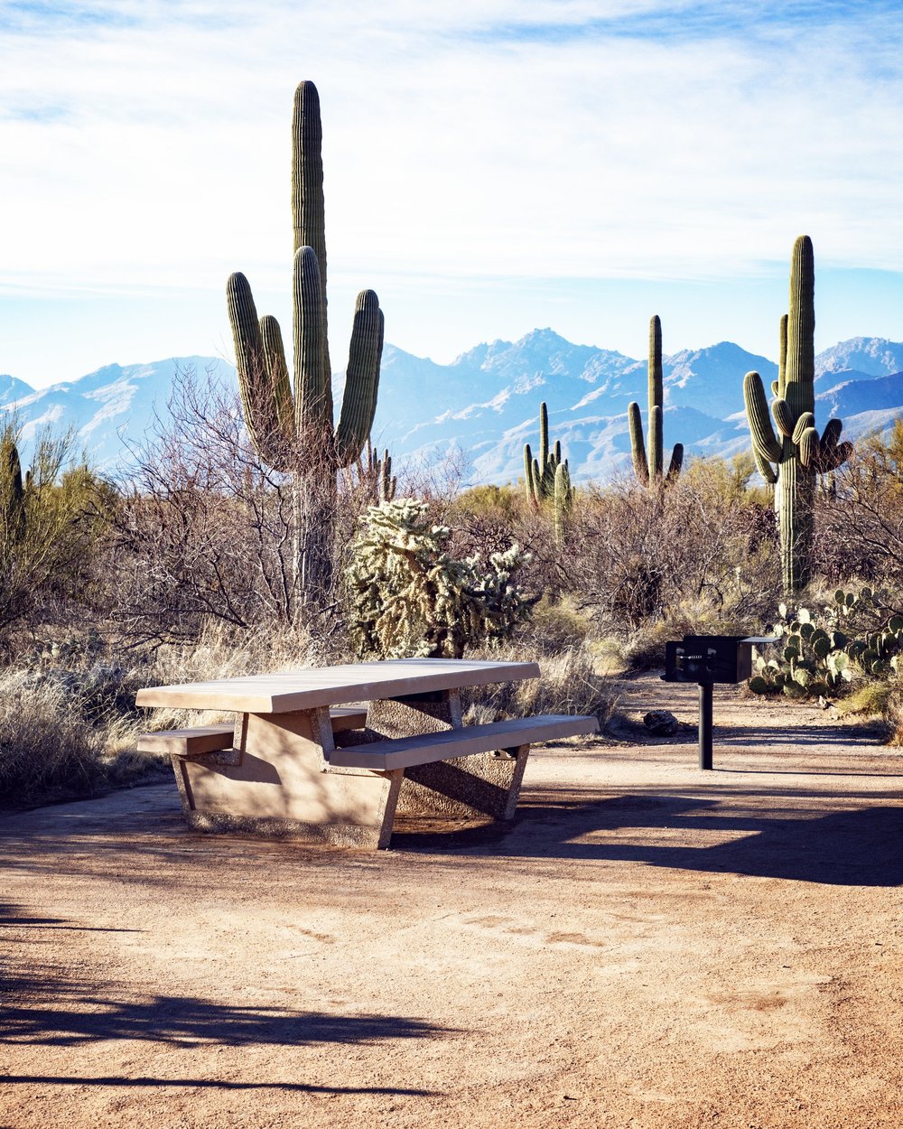 Mica View Trail - Easy & Fun Hike in Saguaro National Park (Tucson, AZ ...
