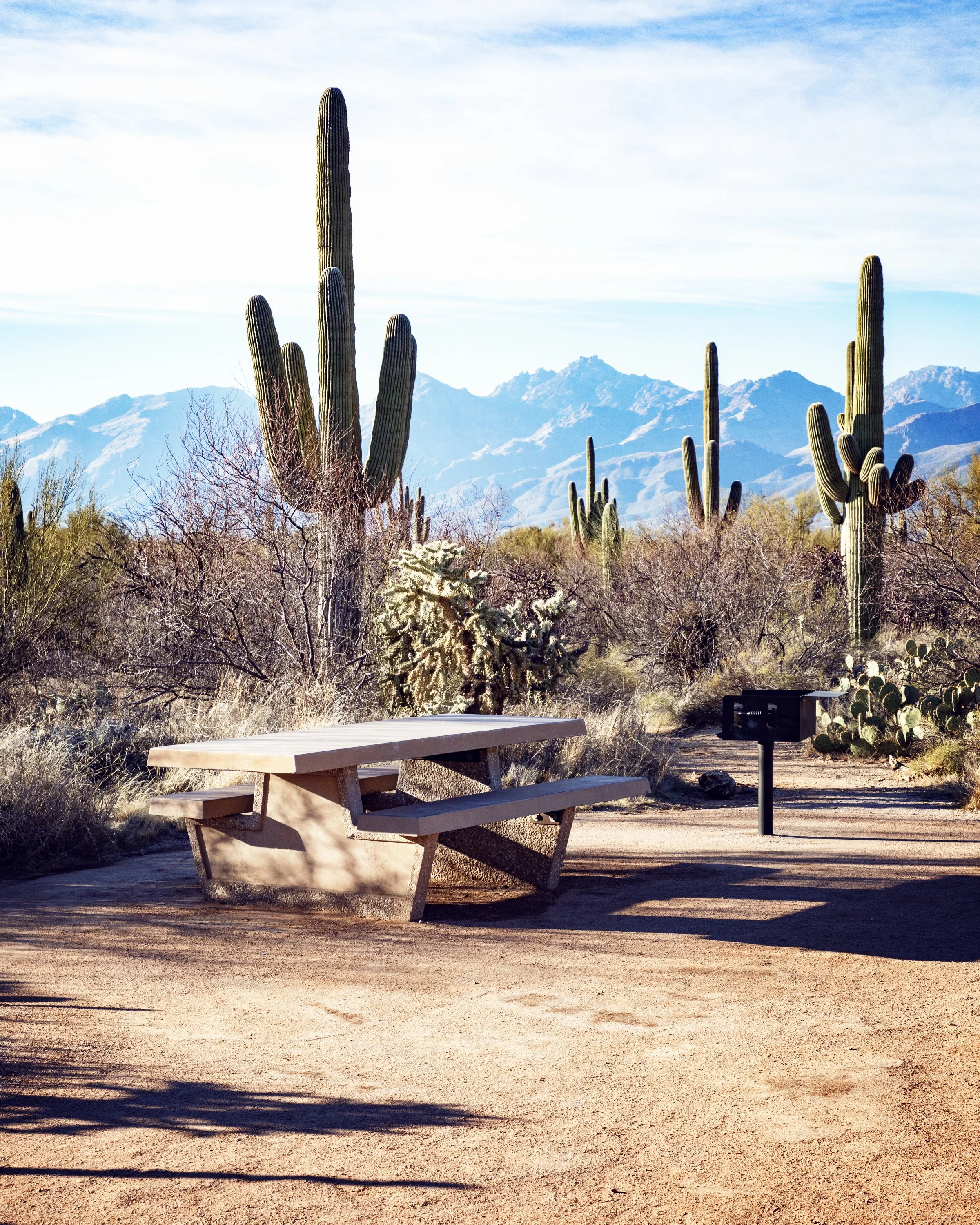 Mica View Trail - Easy & Fun Hike in Saguaro National Park (Tucson, AZ ...